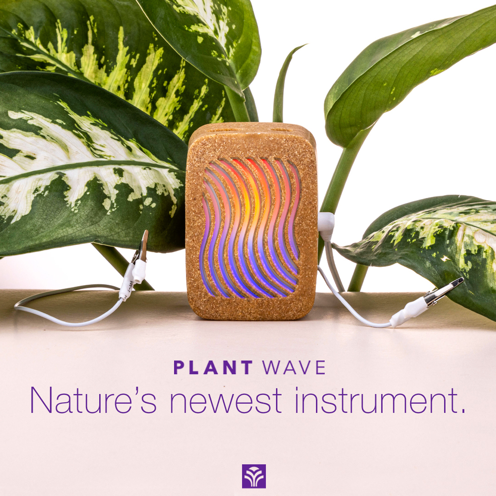 Gallery of Converting Plant Biorhythms into Real Time Music for Indoor ...