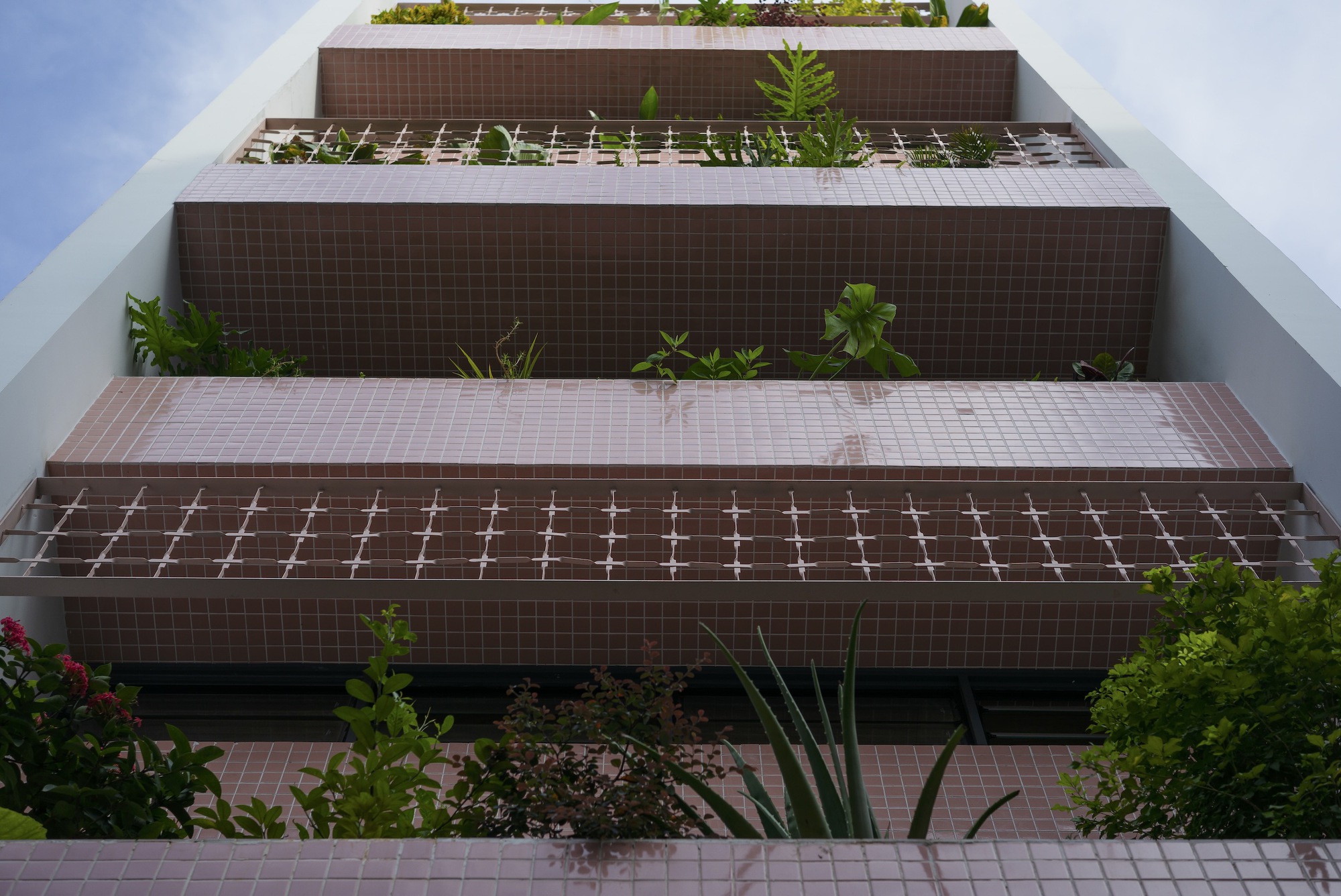 Gallery of T-house / H.a - 6