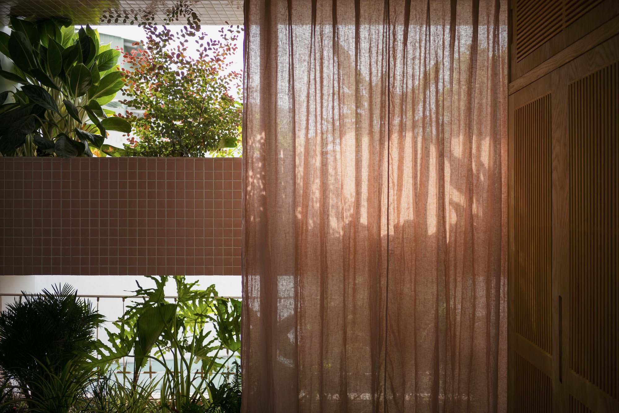 Gallery of T-house / H.a - 18