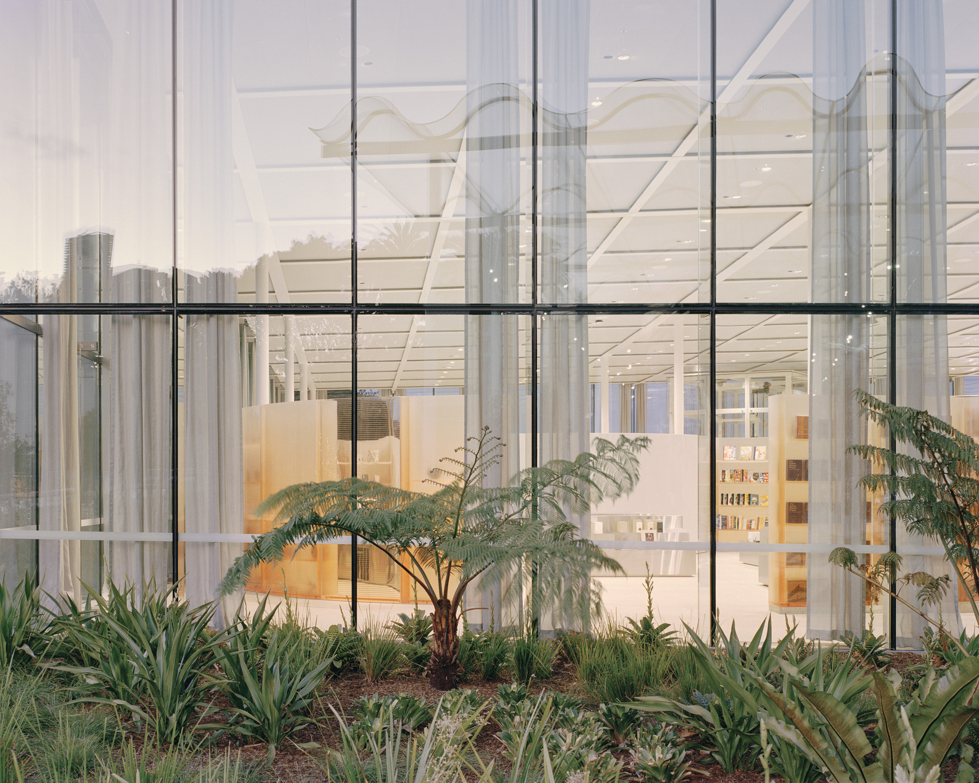 Gallery of Gallery Shop for Art Gallery of NSW New Sydney Modern ... Gallery of Gallery Shop for Art Gallery of NSW New Sydney Modern ...