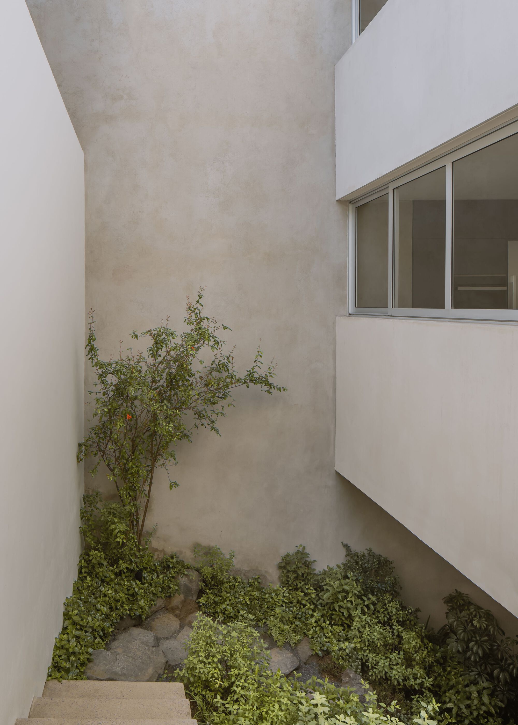 Galería de Casa de la Cañada / Escobedo Soliz - 9