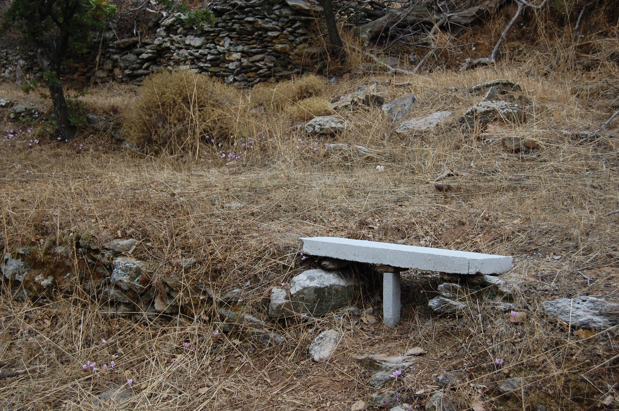 Gallery of Vacation Garden With a Room / Alexandros Fotakis + Nicoletta ...