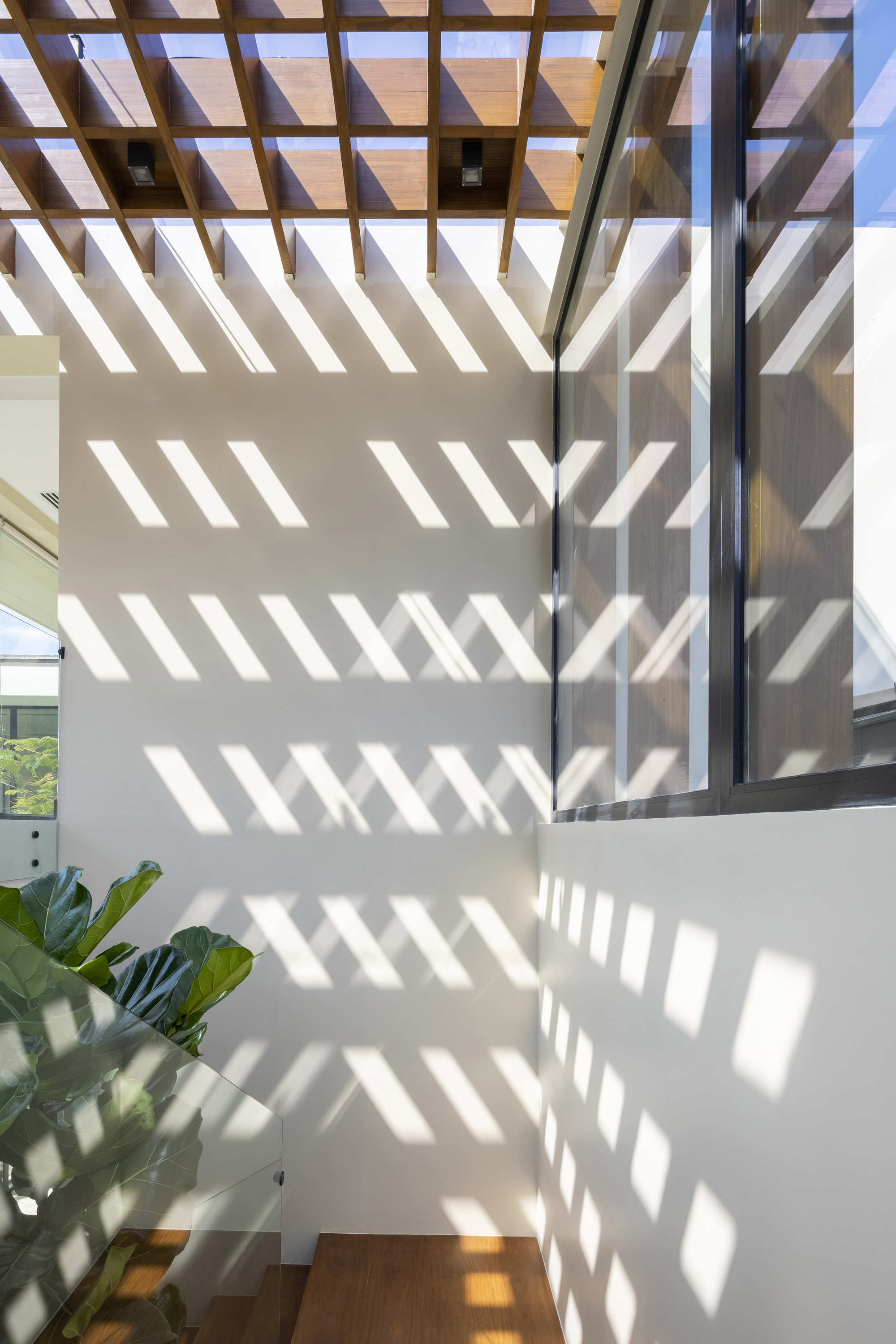 Gallery of Patio House / Garnier Arquitectos - 14