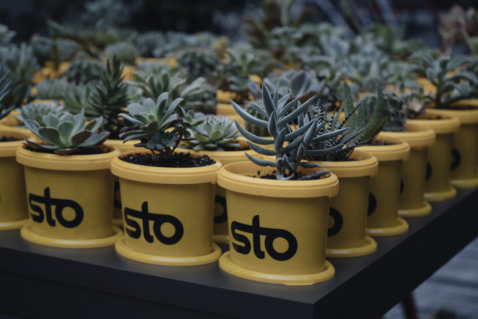 Galería de Ganadores de la quinta edición del concurso 'Proyectar a Conciencia' de STO Chile - 29