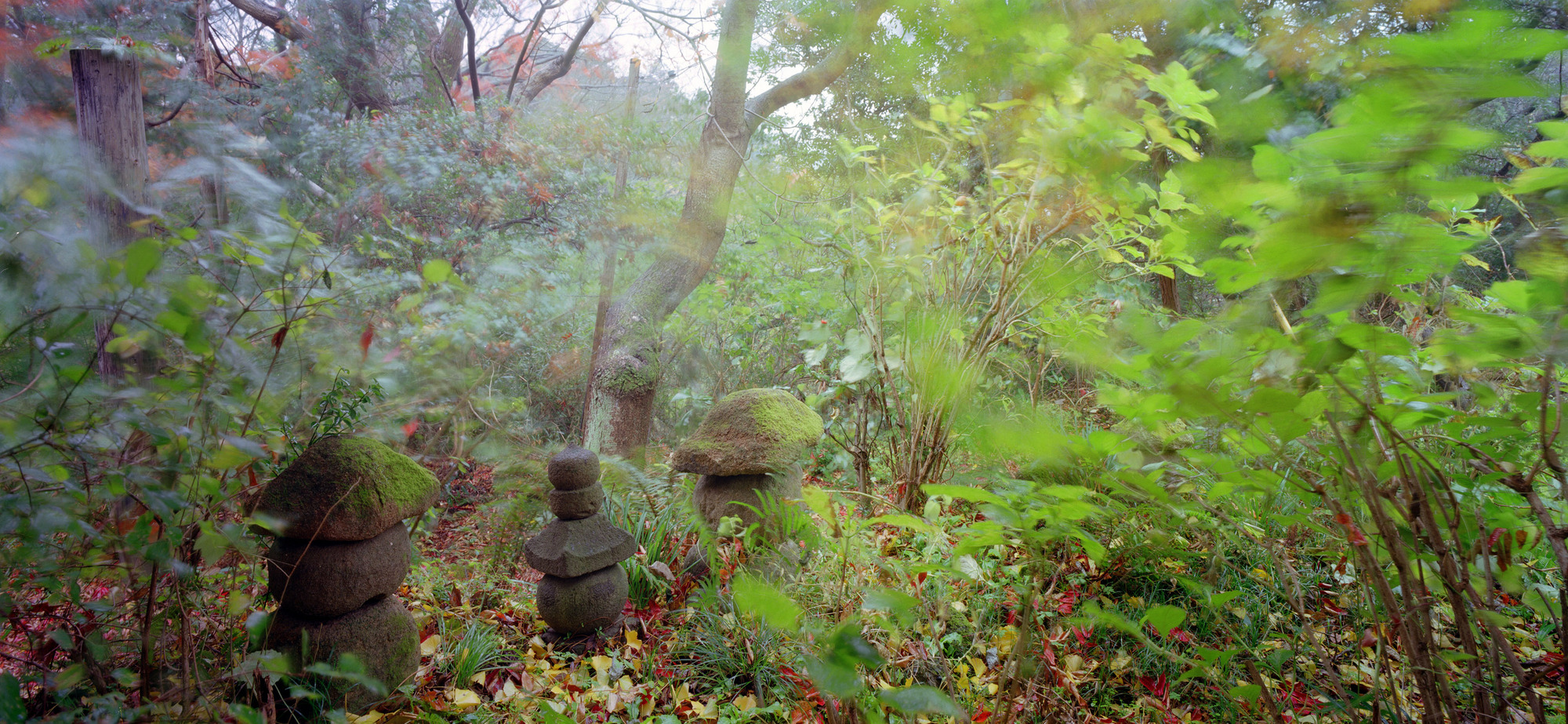 Gallery of Landscapes of Archaeology - 8