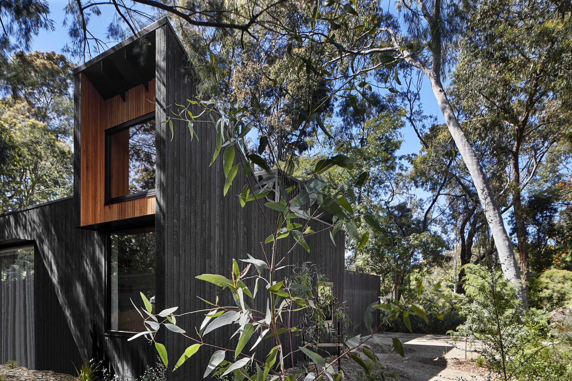 Gallery of Bellbird House / Bower Architecture - 11