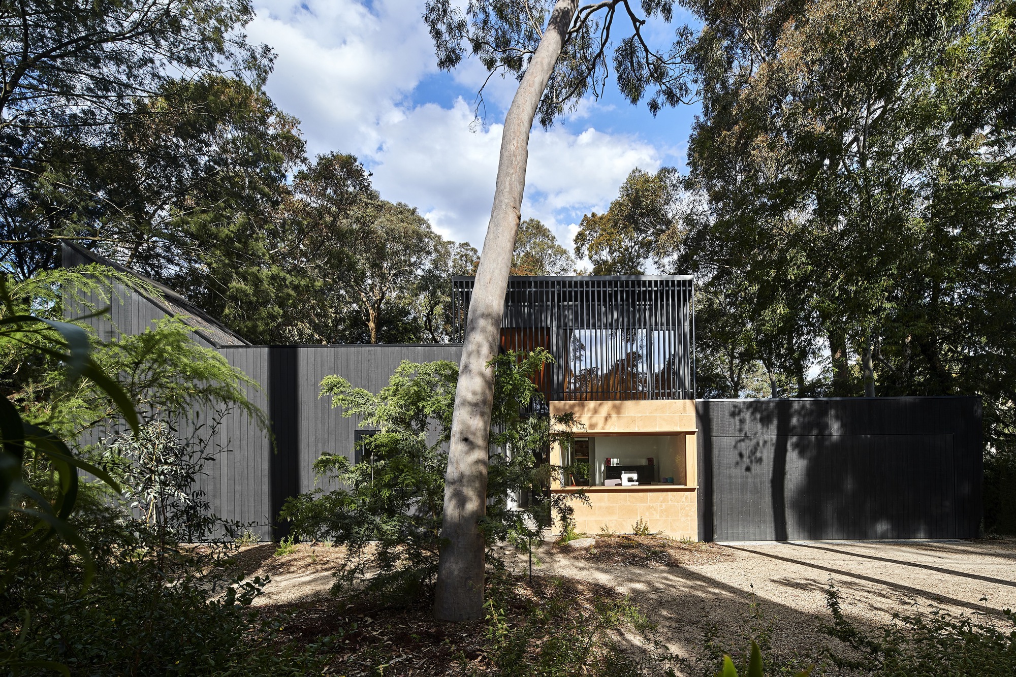 Gallery of Bellbird House / Bower Architecture - 8