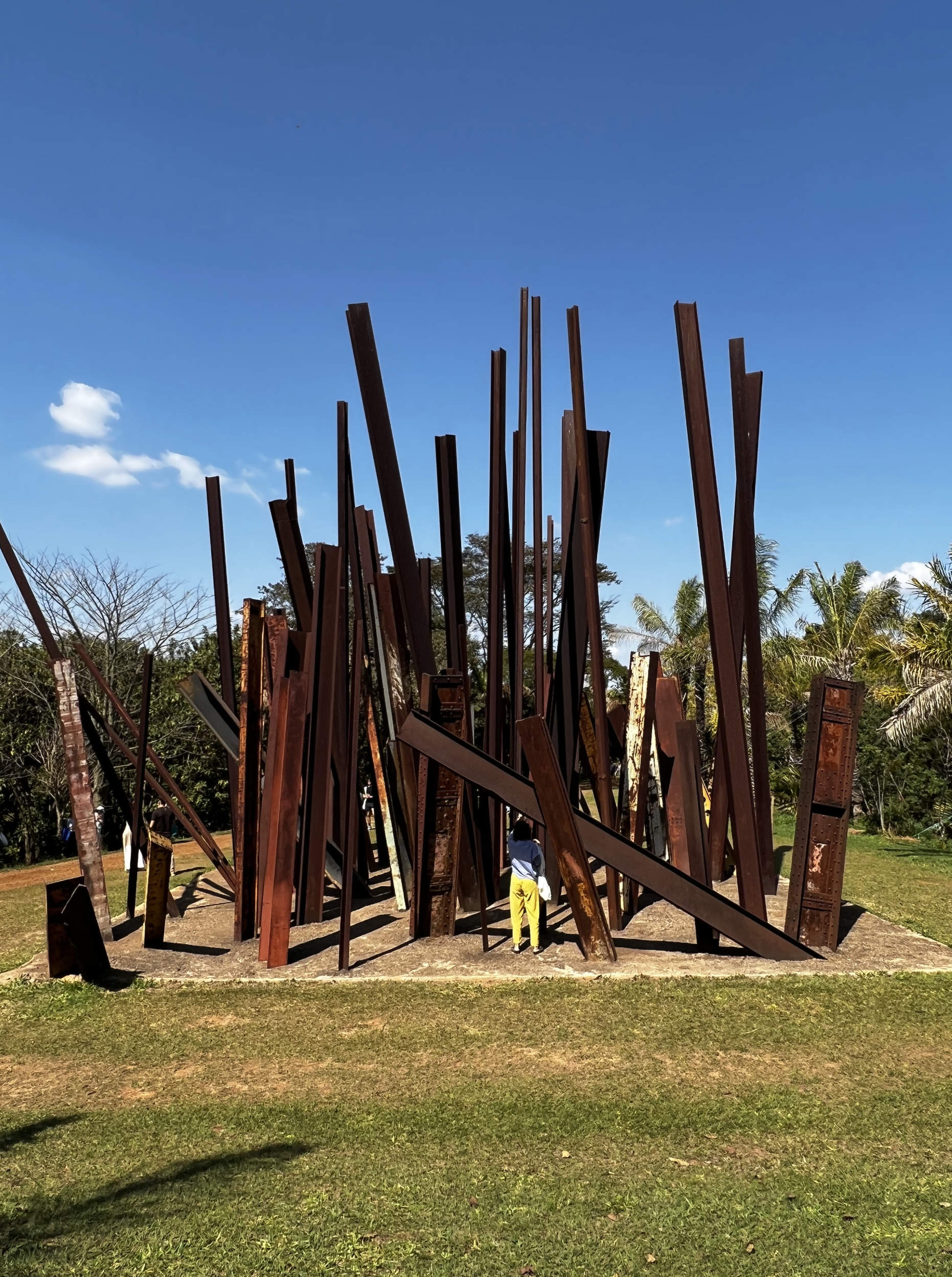 Viagem para Inhotim: Arte e arquitetura, com Danilo Oliveira e André ...