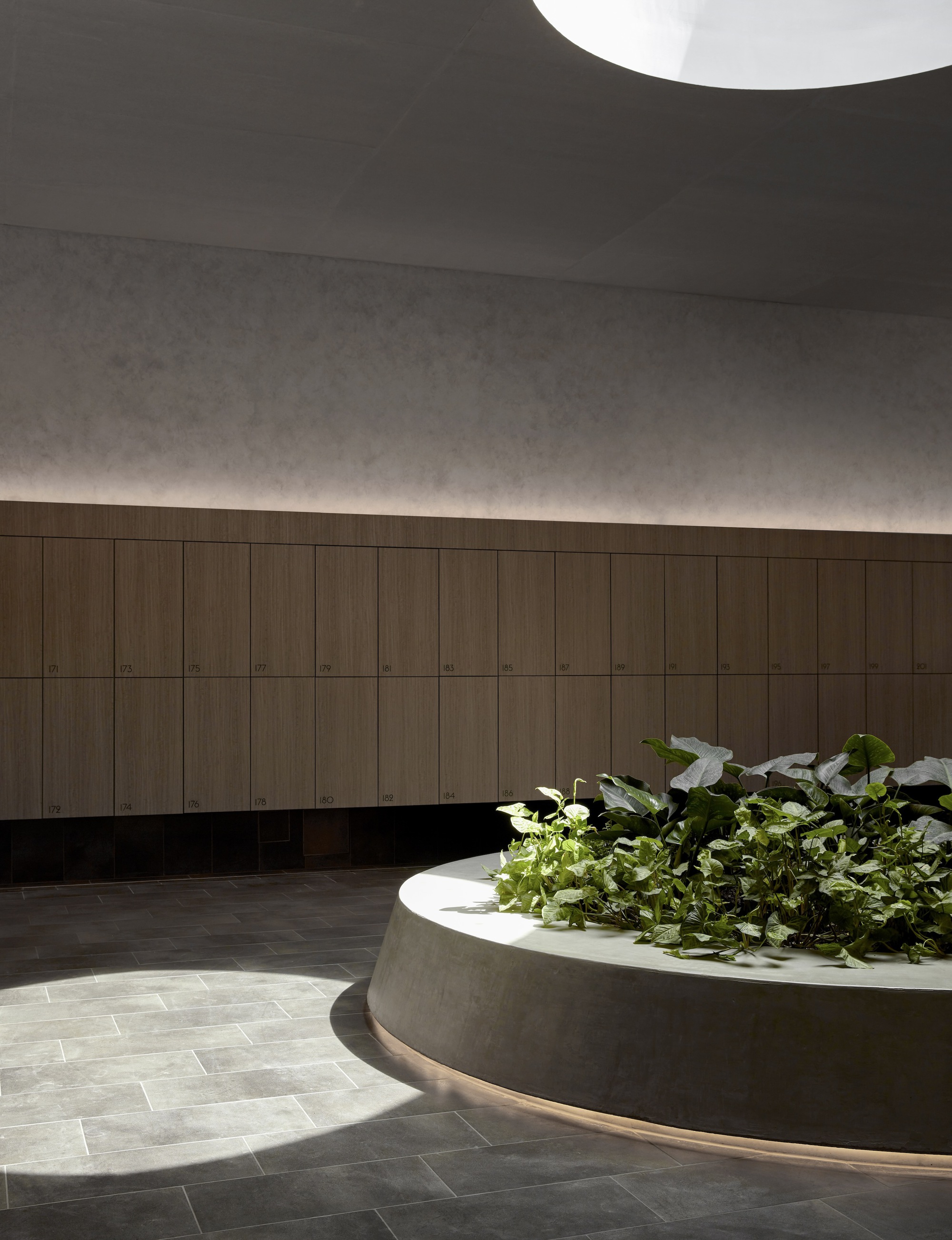 Gallery of Alba Thermal Springs and Spa / Hayball - 27