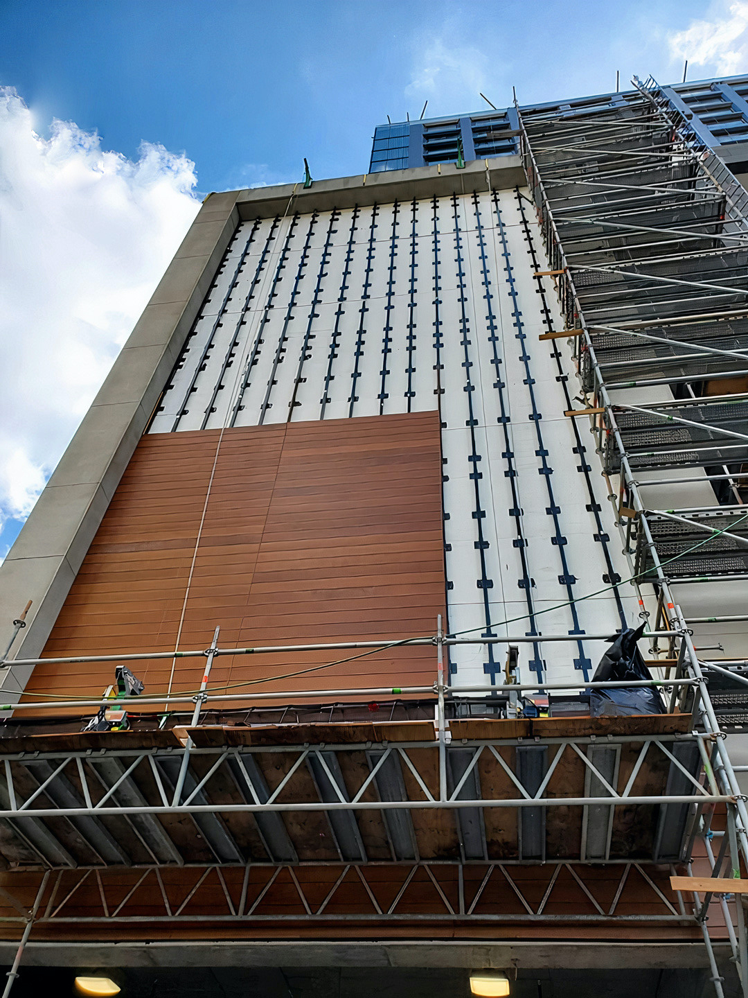 Gallery of Creating Decorative, Long-Lasting Facades with Natural Wood ...