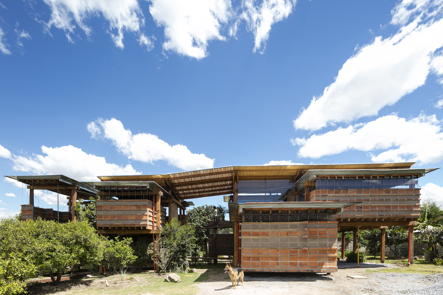 Gallery of Tropical Houses: Creating a Dialogue Between Nature and the ...