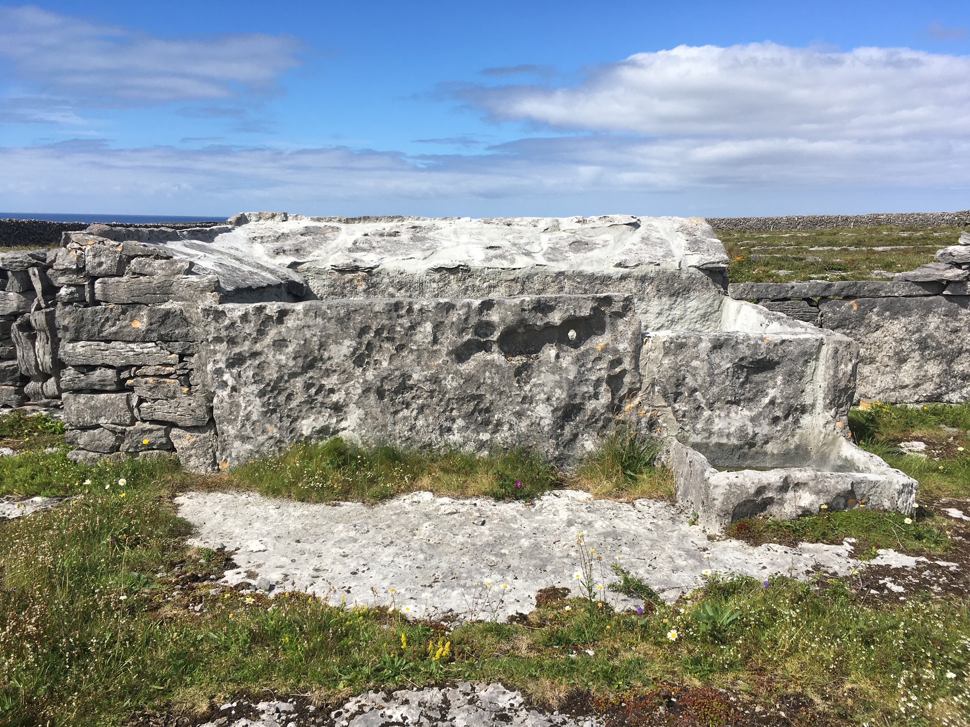 Gallery of Learning Resilience: The Irish Pavilion Explores the Culture ...