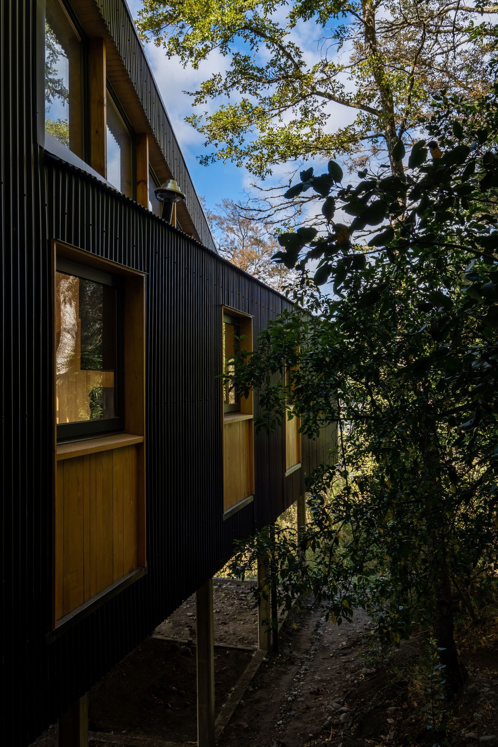 Gallery of Sosa House / 40Sur Arquitectura - 7