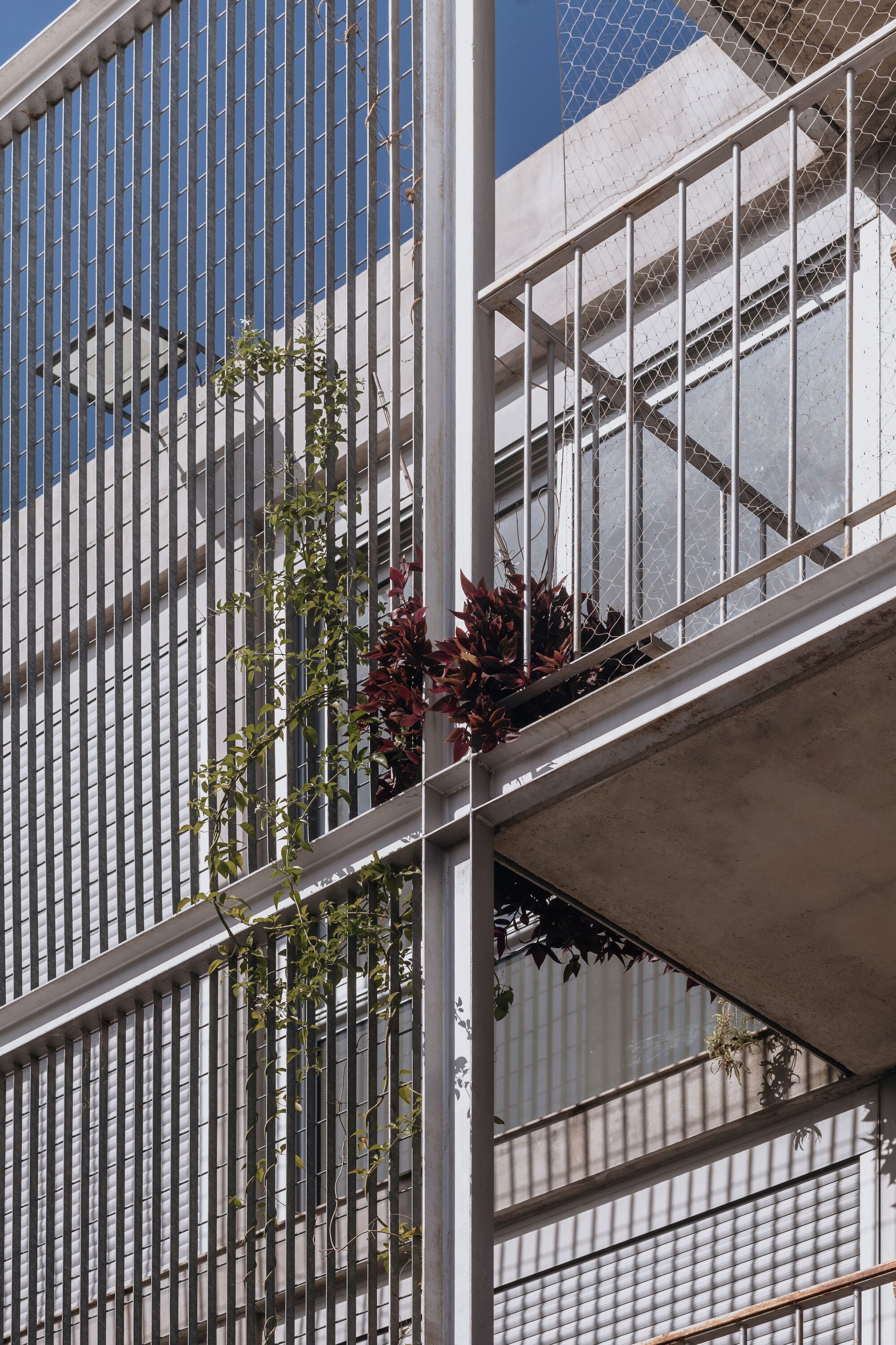 Galería de Edificio Morelli / Arcieri Arquitectura - 11