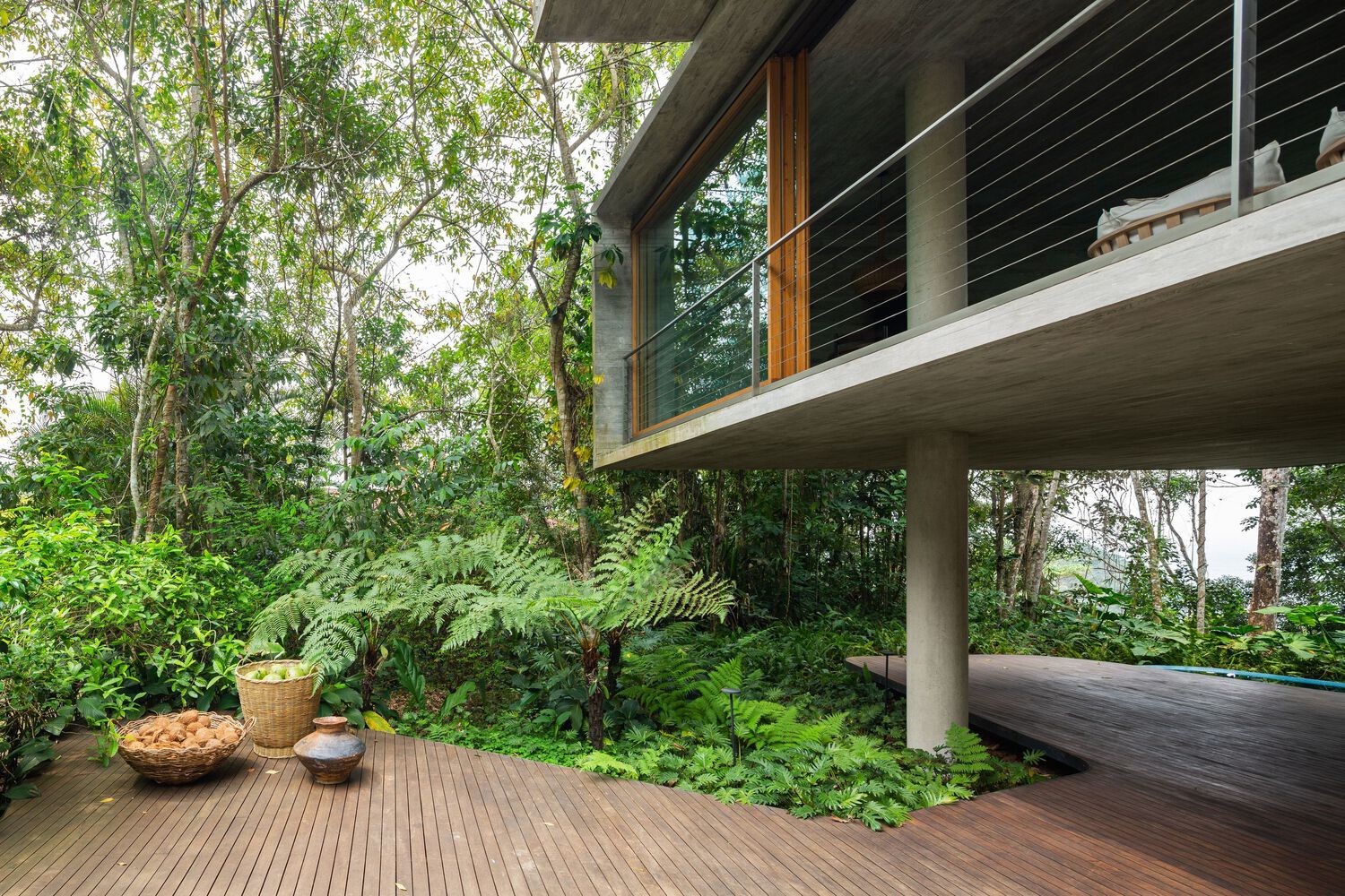Gallery of Concrete Jungle: Houses That Explore the Contrast Between ...