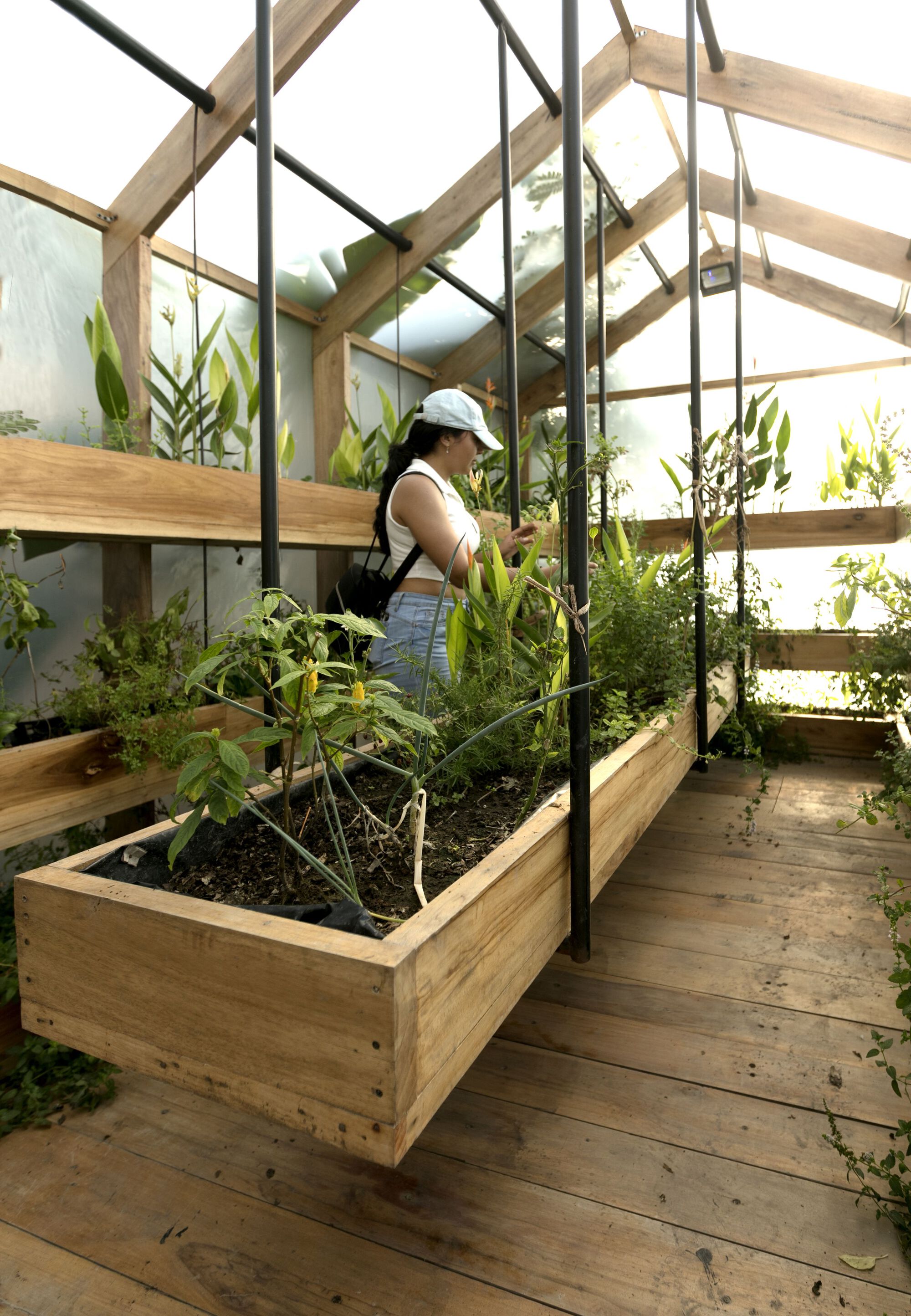 Galería de El huerto flotante / Natura Futura + Juan Carlos Bamba - 12