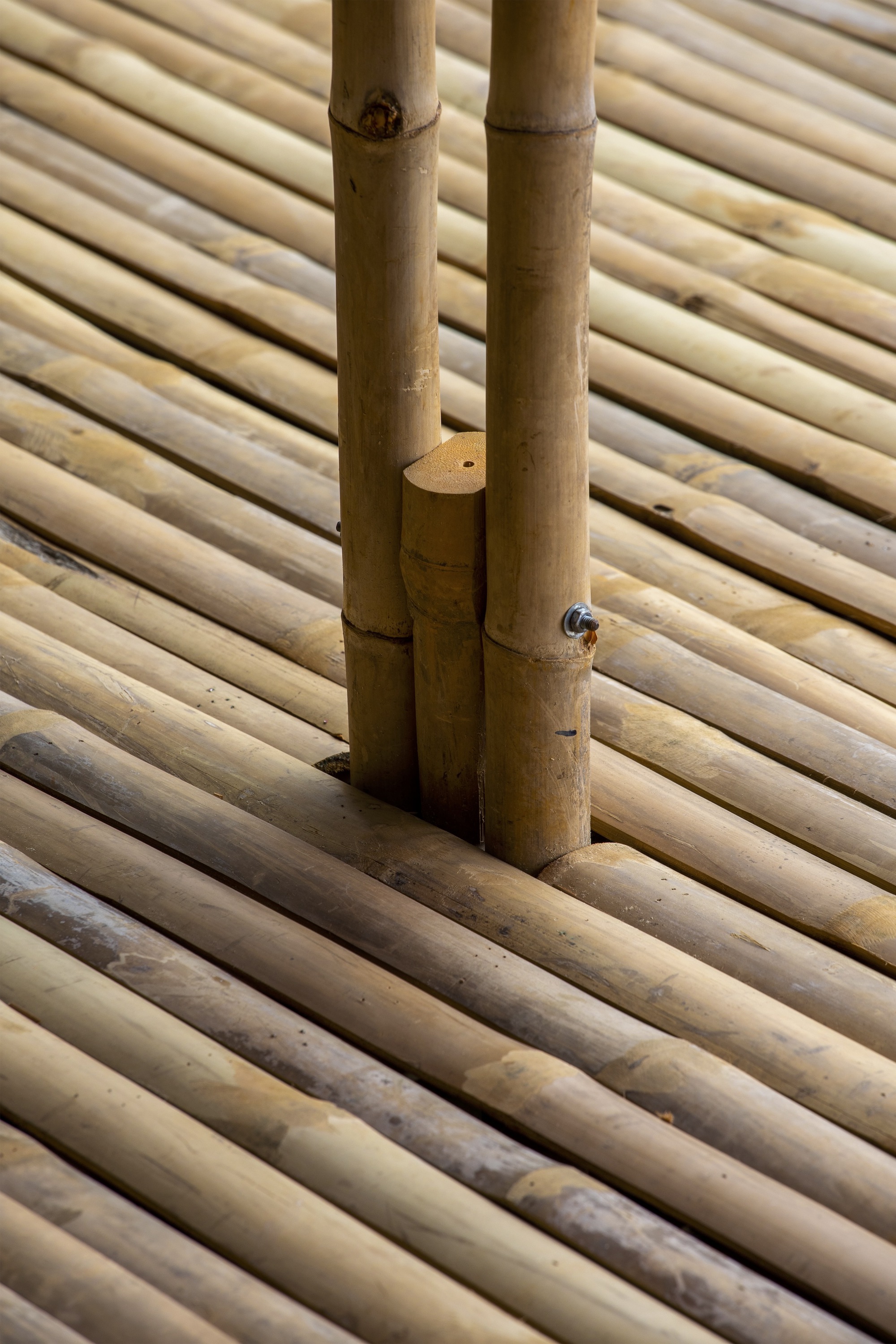 Gallery of Floating Bamboo House / H&P Architects - 22