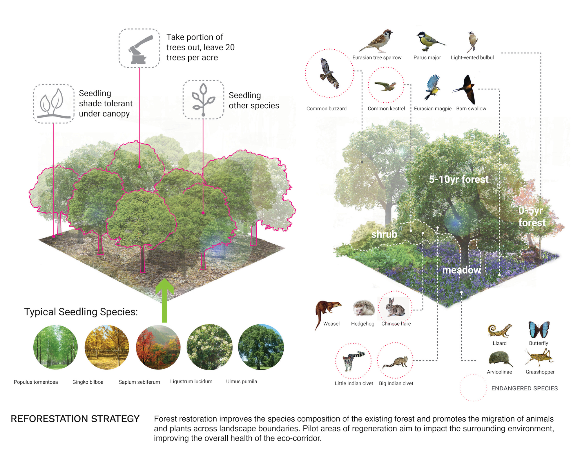 Gallery of Miaojing River Ecological Infrastructure / PLAT Studio - 23