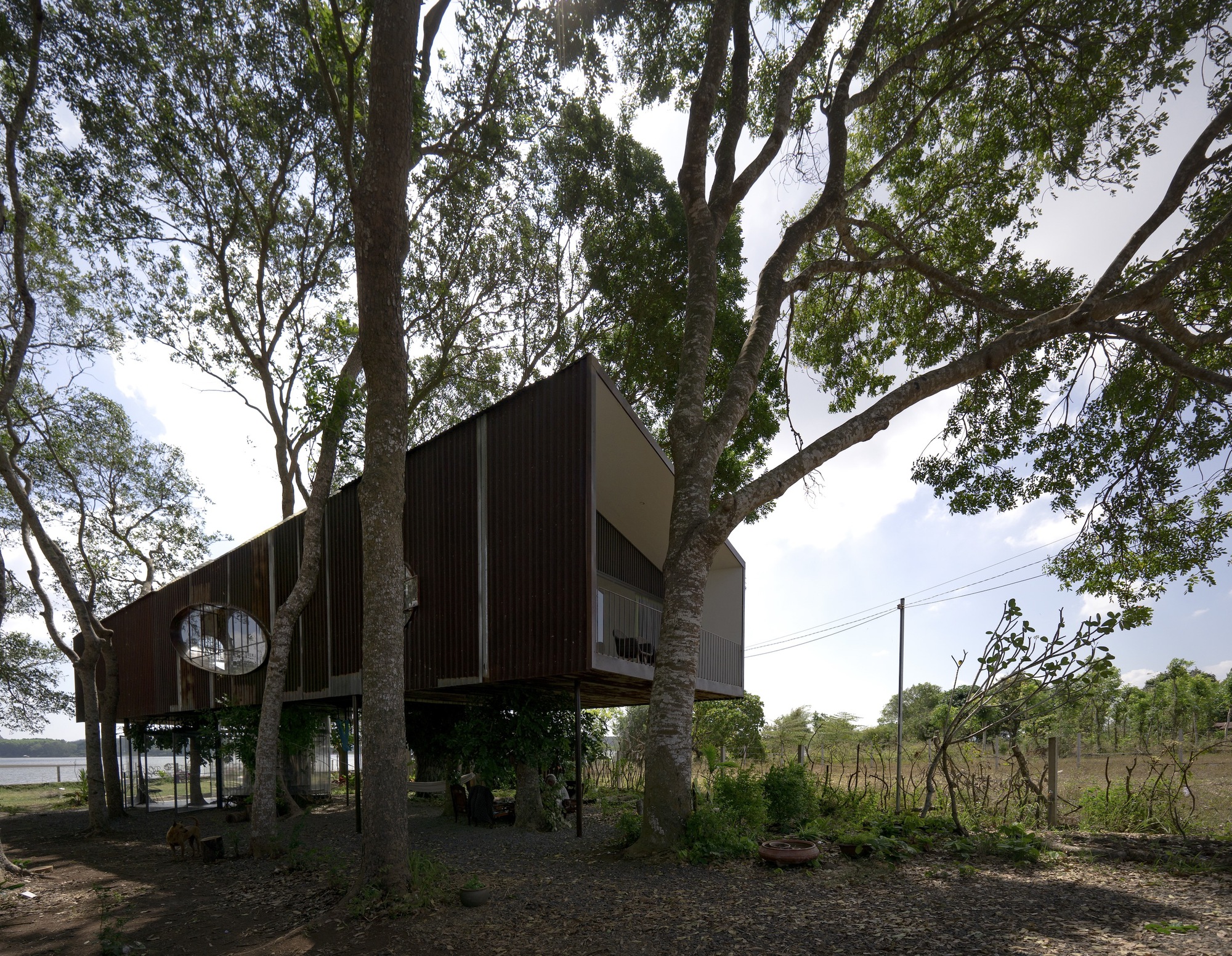 Gallery of Tree House by the Lake / H2 - 7