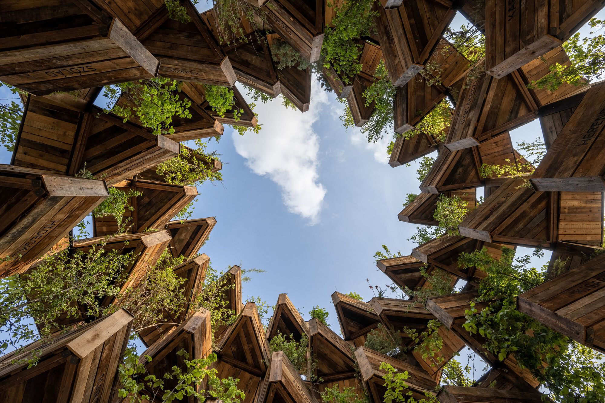 Gallery of Garden of Communities Pavilion / Hello Wood - 5