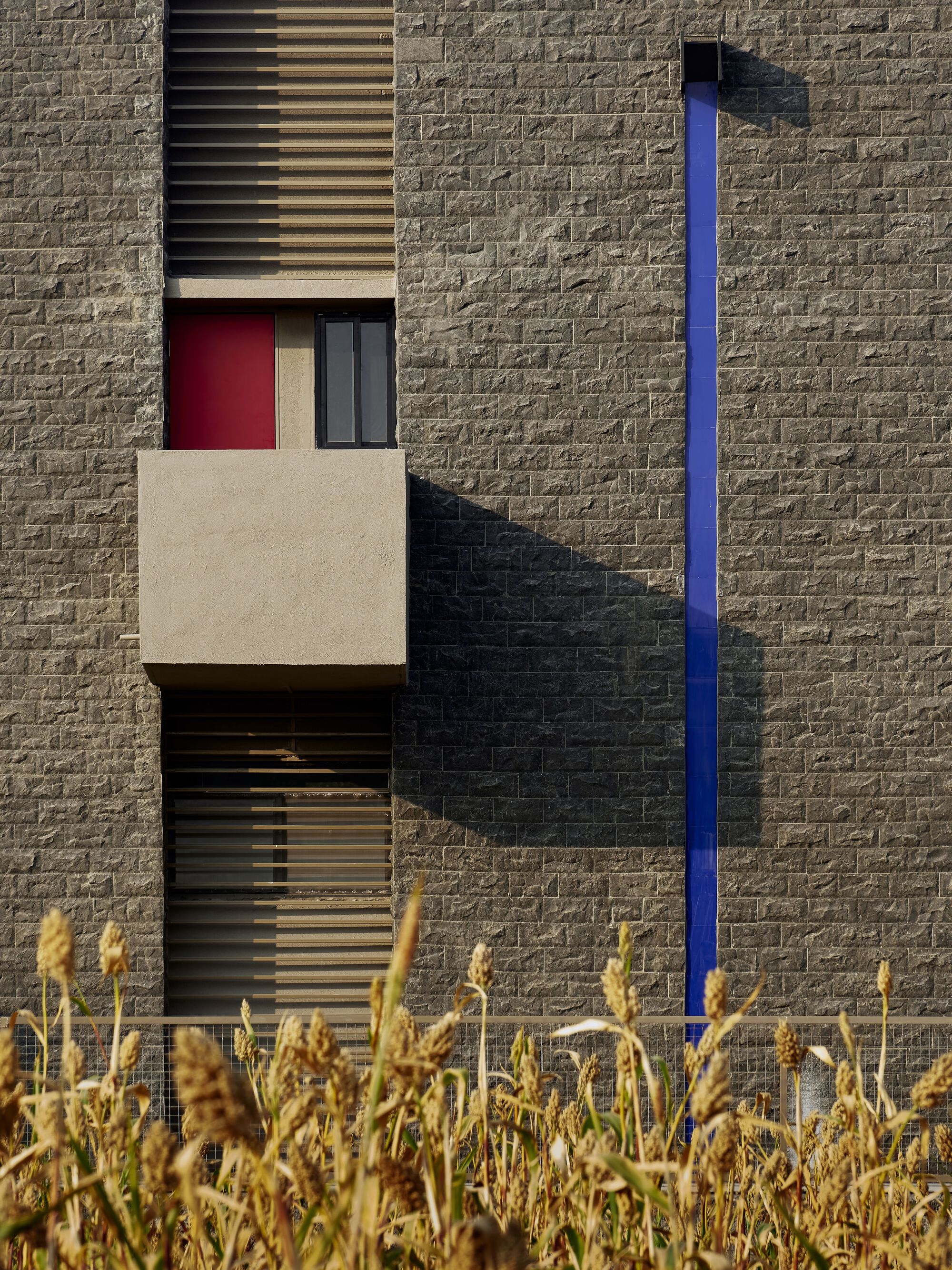 Gallery of Women Empowerment Shelter / Studio PPBA - 13