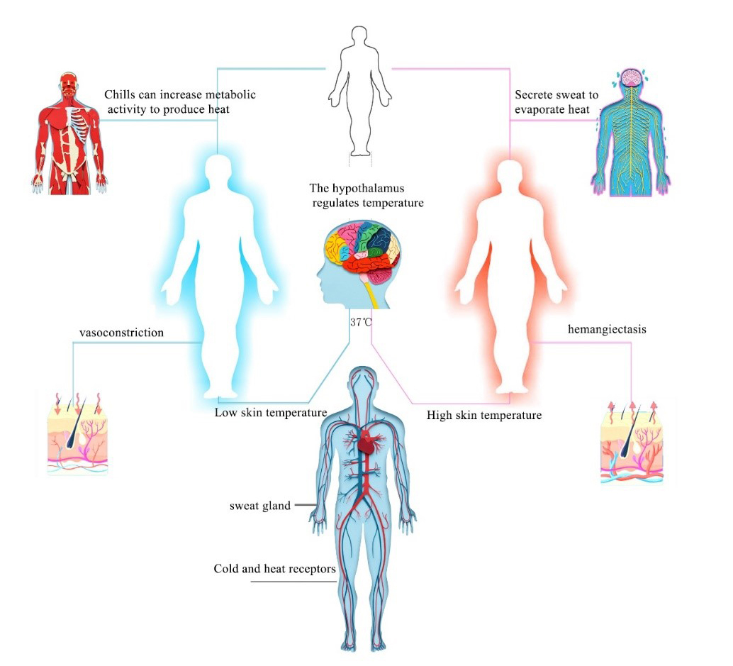 画廊 2023年 UIA 世界建筑师大会健康设计 - 8