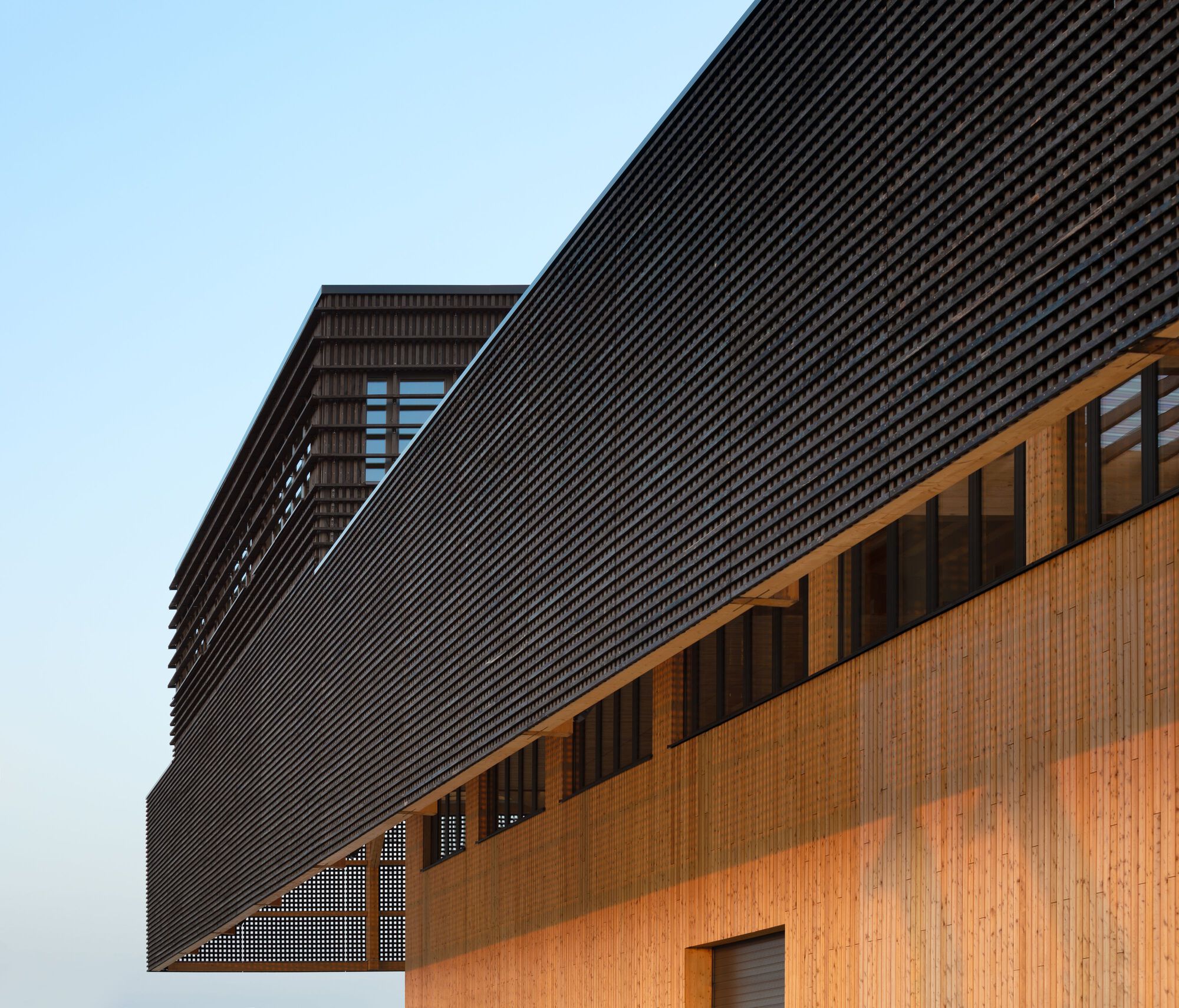 Gallery of The Timber Hat Building / rundzwei Architekten - 16