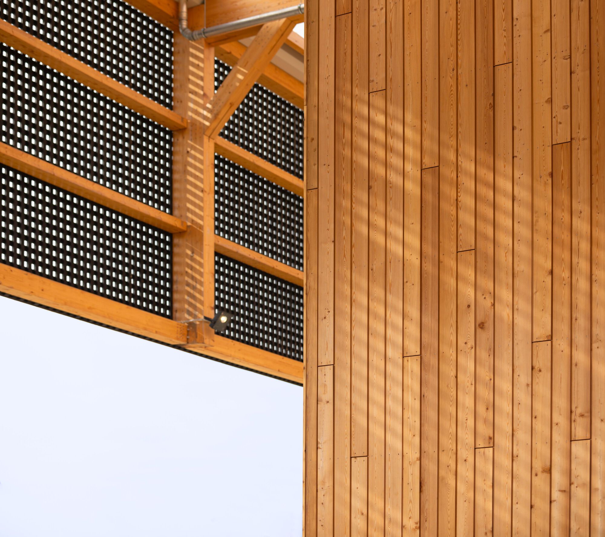 Gallery of The Timber Hat Building / rundzwei Architekten - 18