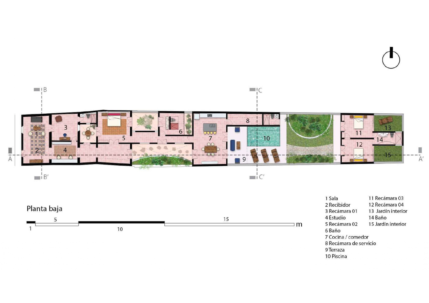 Gallery of How to Design a House on a Narrow Plot? Examples in Mérida ...