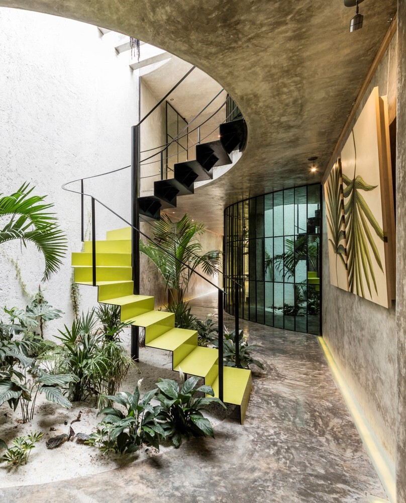 Gallery of How to Design a House on a Narrow Plot? Examples in Mérida ...