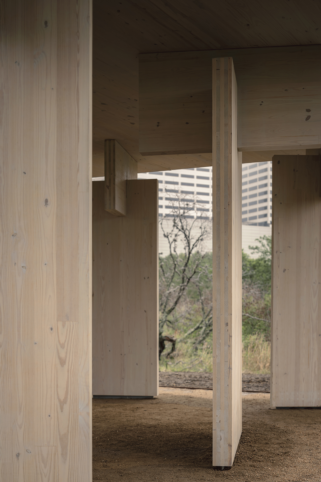 Gallery of Mass Timber Pavillion / Jesús Vassallo - 18