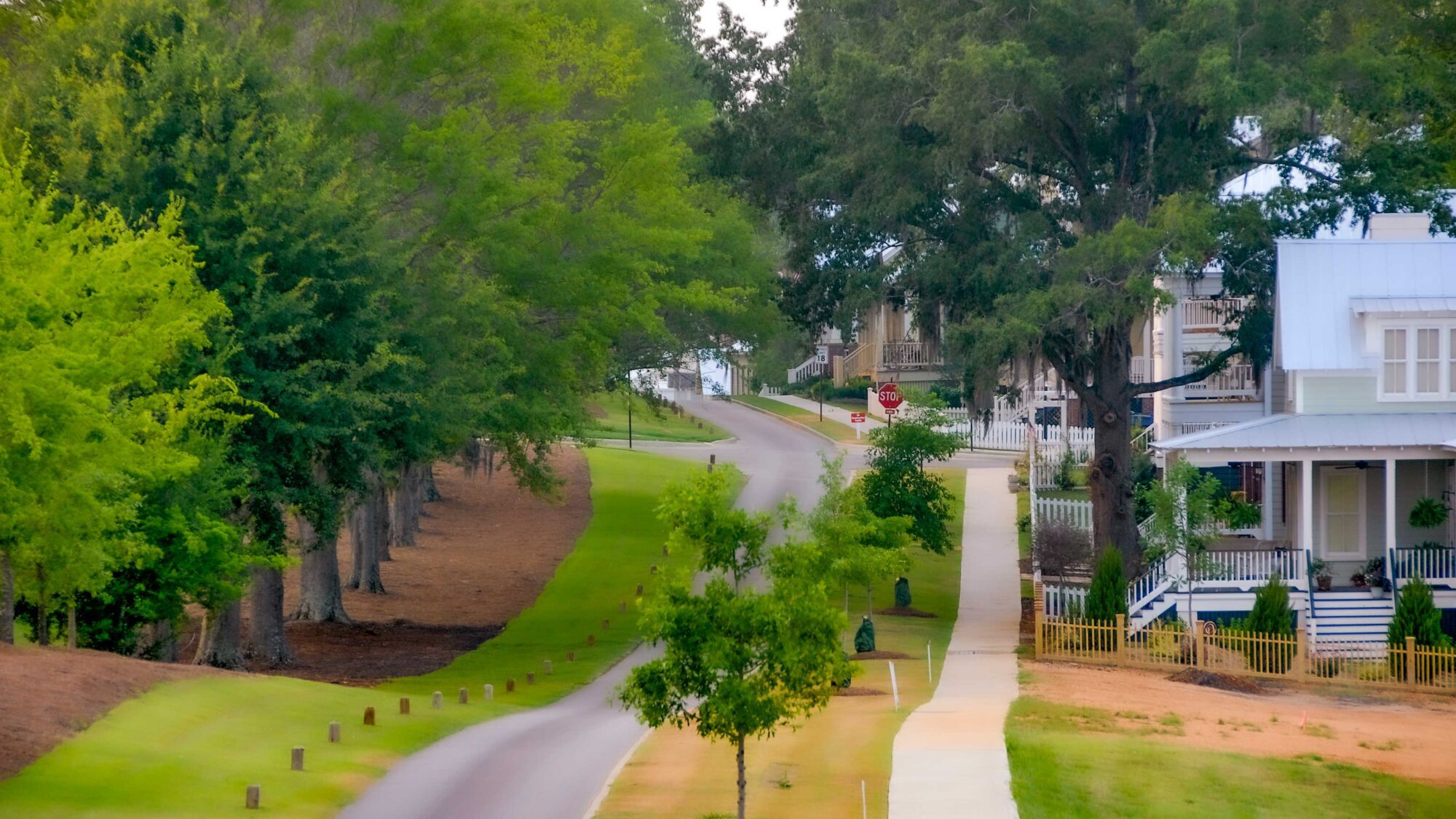 Gallery of What’s the Point of Lower-Density Urbanism? - 11