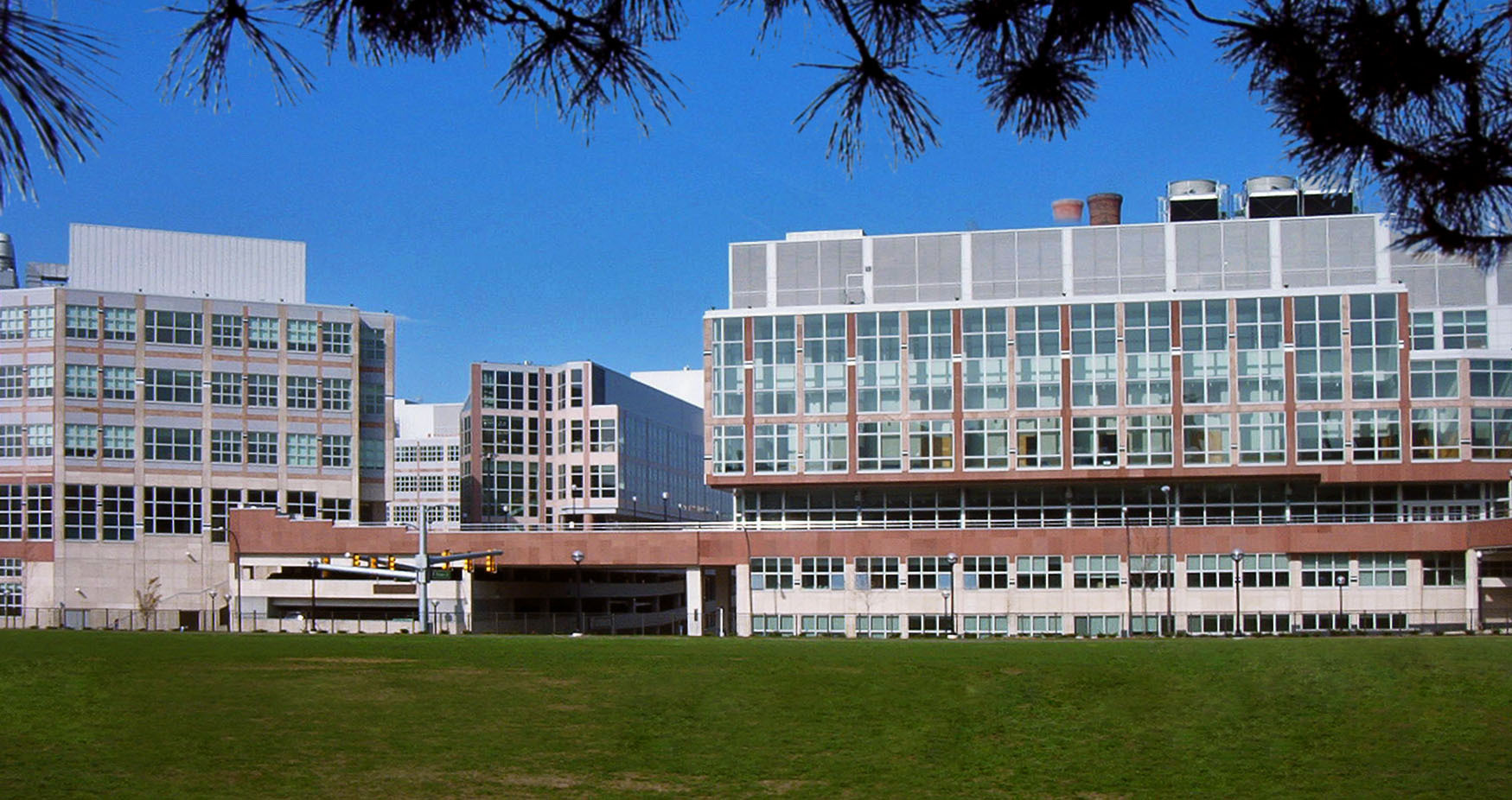 Gallery of The Second Studio Podcast: Interview with Denise Scott Brown ...