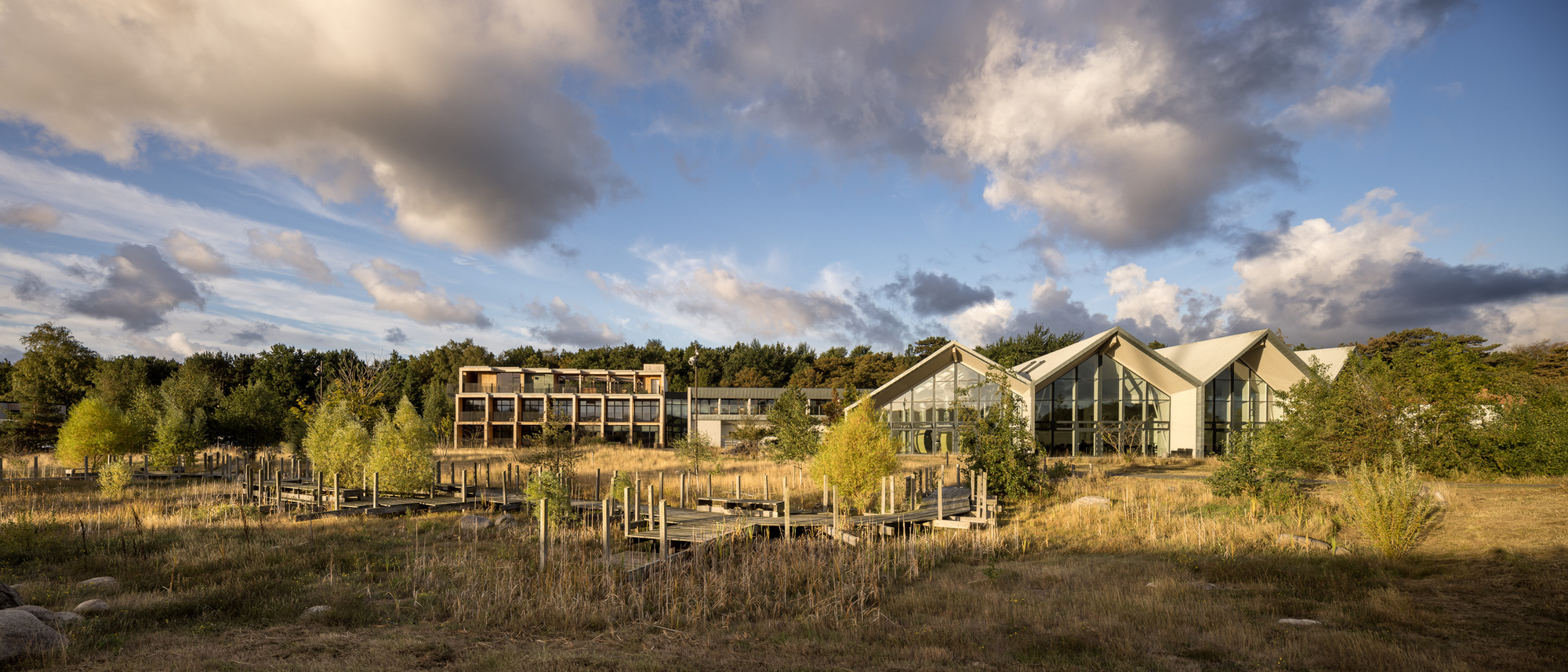 Galeria de Hotel Green Solution House 2.0 / 3XN + GXN - 11