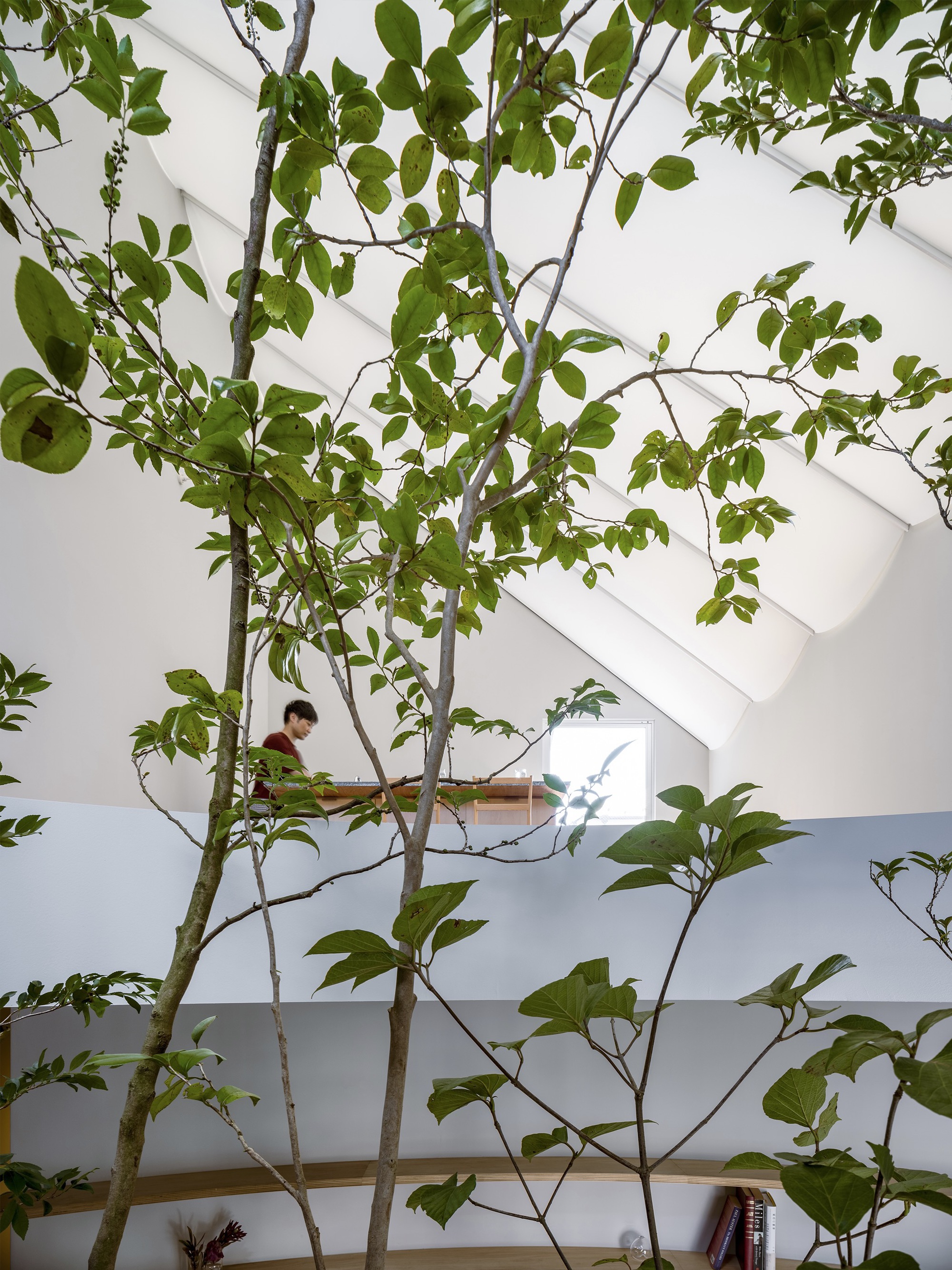 Gallery of House with Membrane Roof / Yuko Nagayama & Associates ...