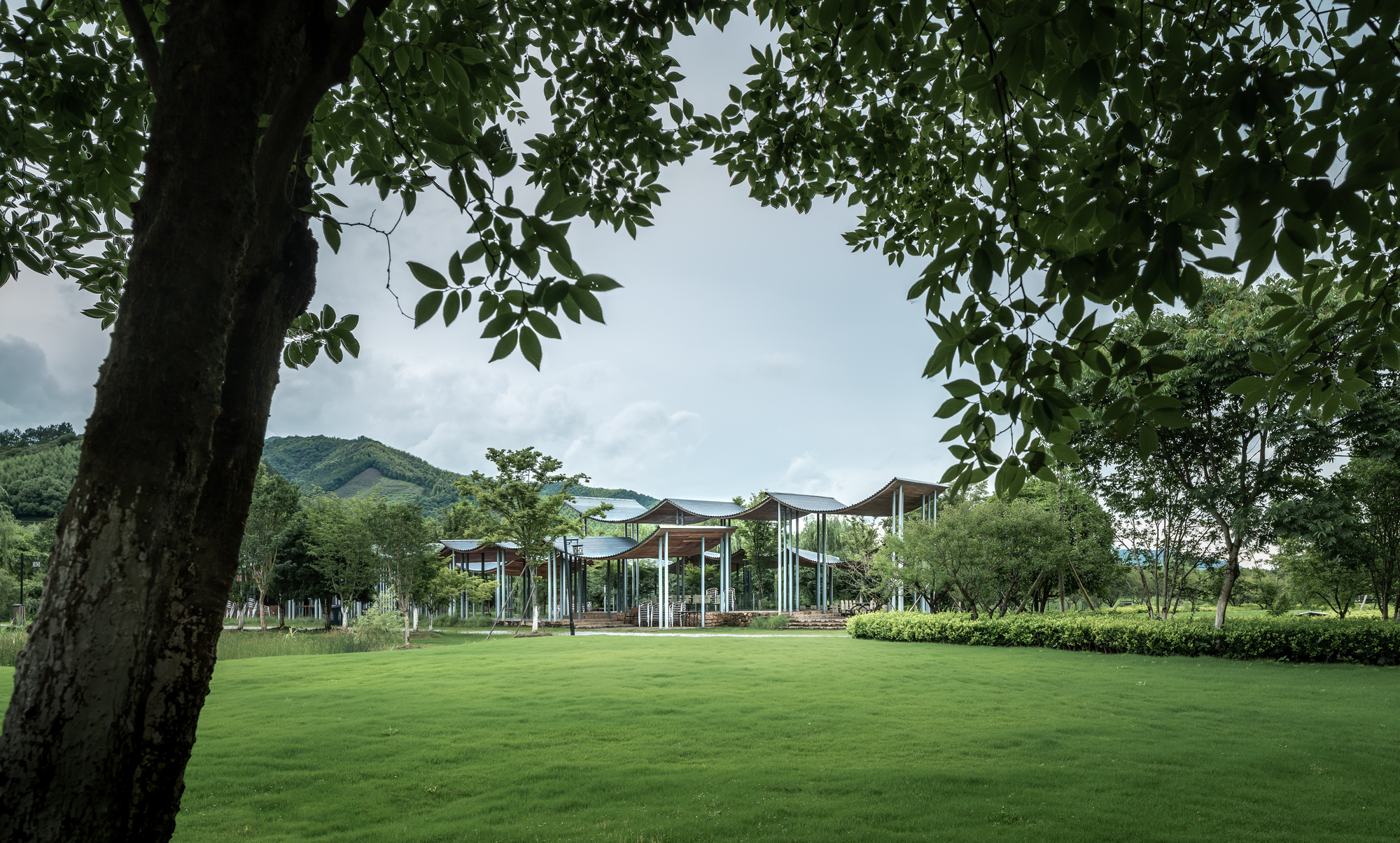 Gallery of Jingshan Flower Sea Tent Pavilion / Zhejiang A&F University ...
