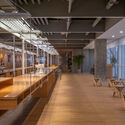 Gallery of 3 Bronte House / David Katon + Matters & Made - 1