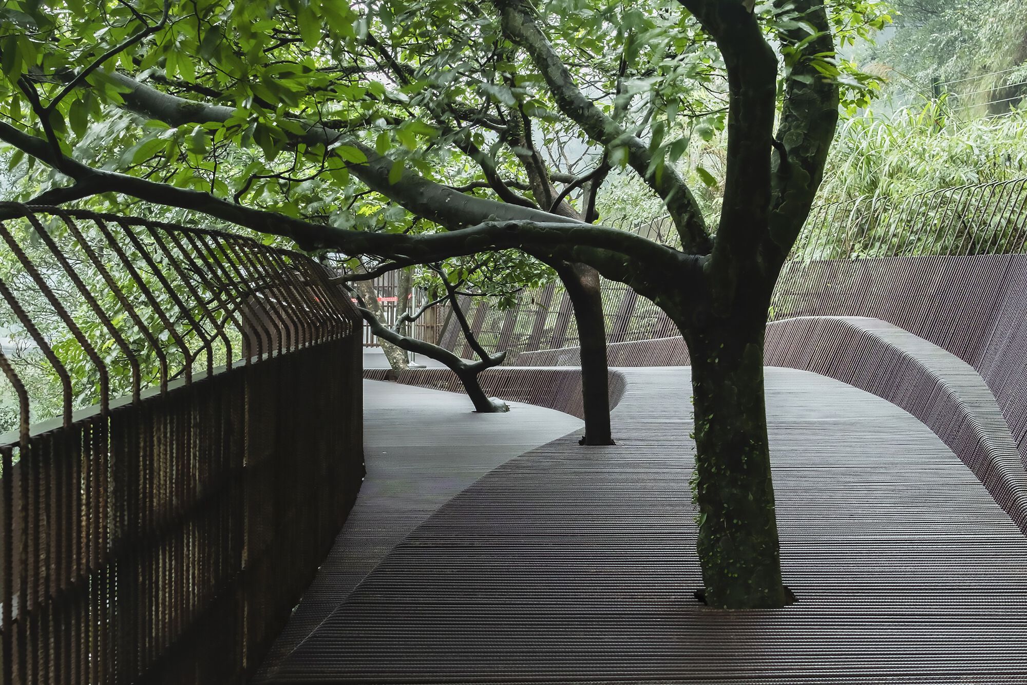 Gallery of The Dark Line Path / mICHELE & mIQUEL + dA VISION DESIGN - 10