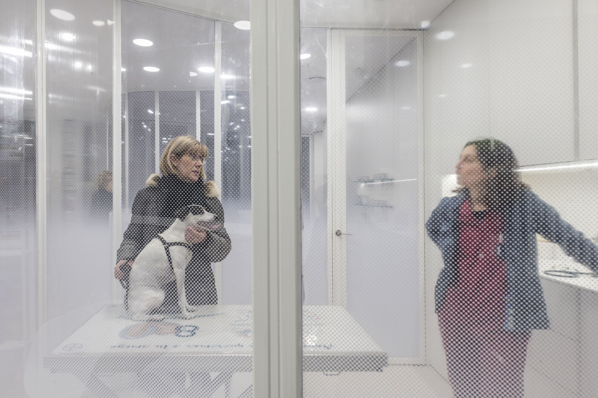 Gallery of Rosvet Veterinary Clinic / VIDA Arquitectura - 11