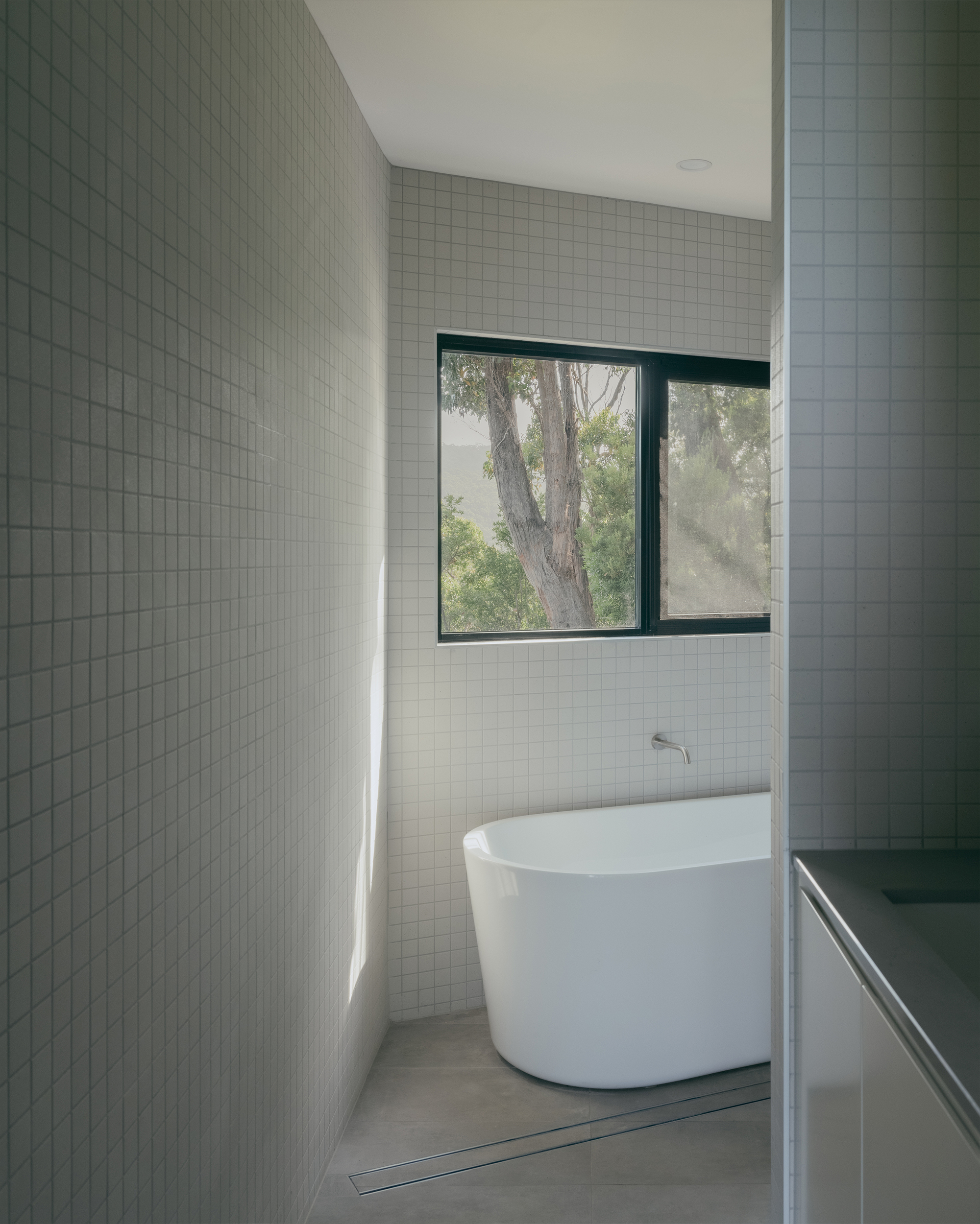 Gallery of AO.30 Kennett River House / MGAO - 19