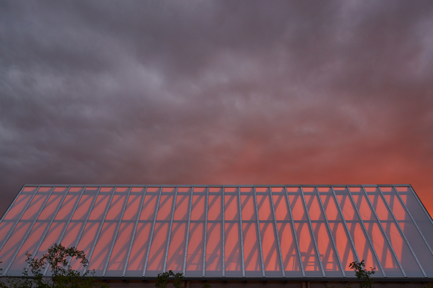 Gallery of Natural or Artificially Pigmented Materials? Exploring Color ...