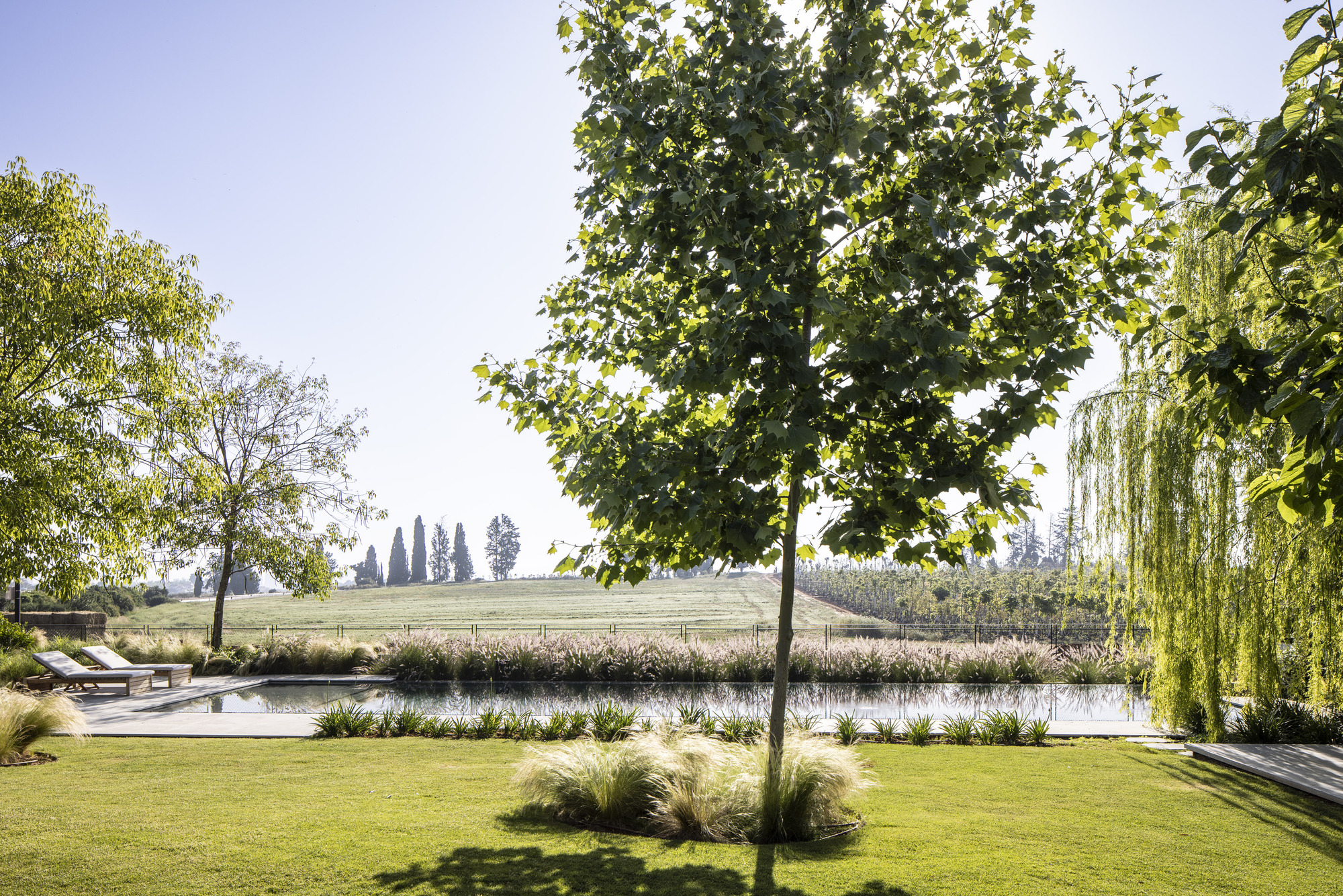 Gallery of Landscape House / Ruth Packer Rona Levin Architects - 15