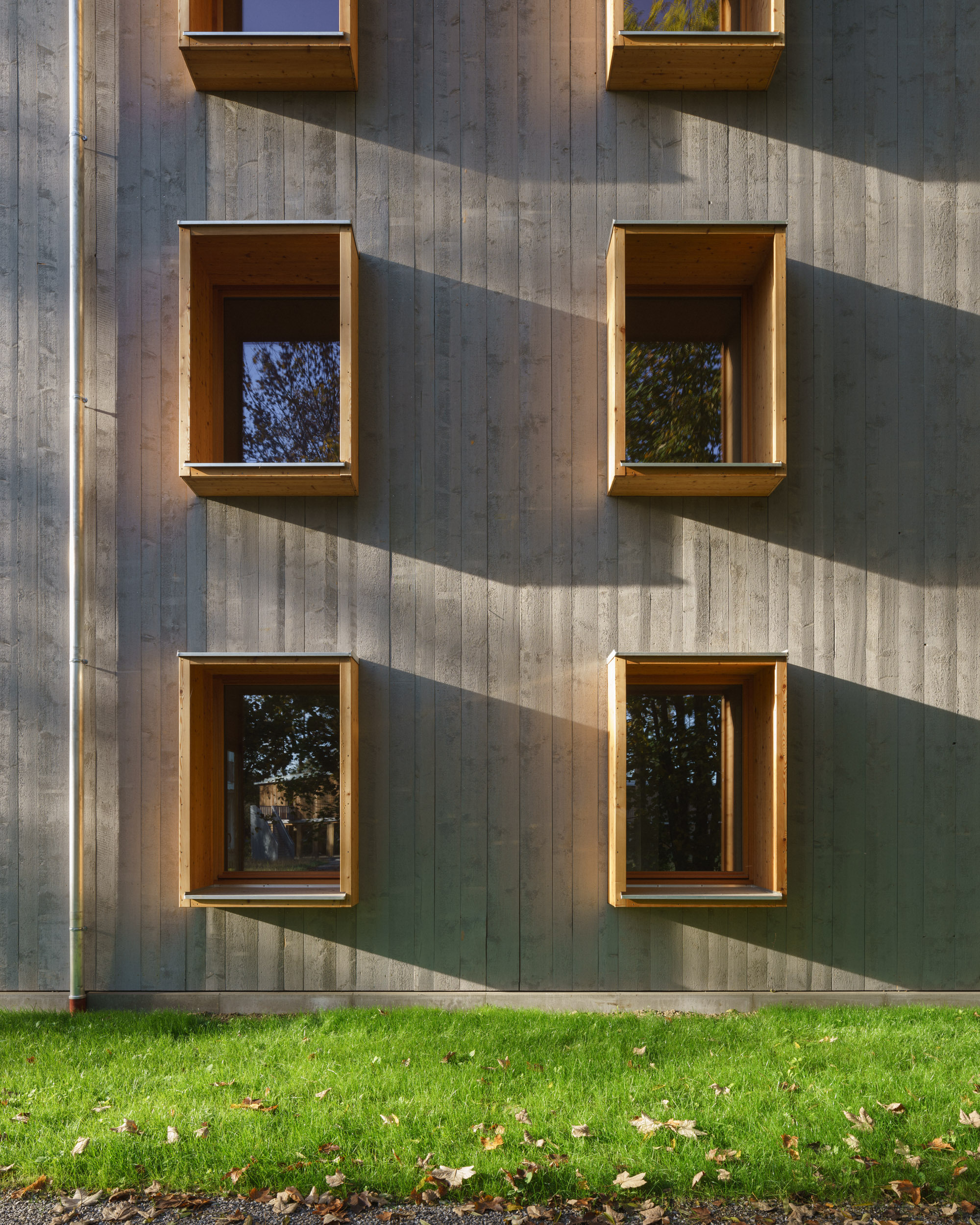Gallery of Housing in Bad Aibling / Florian Nagler Architekten - 3