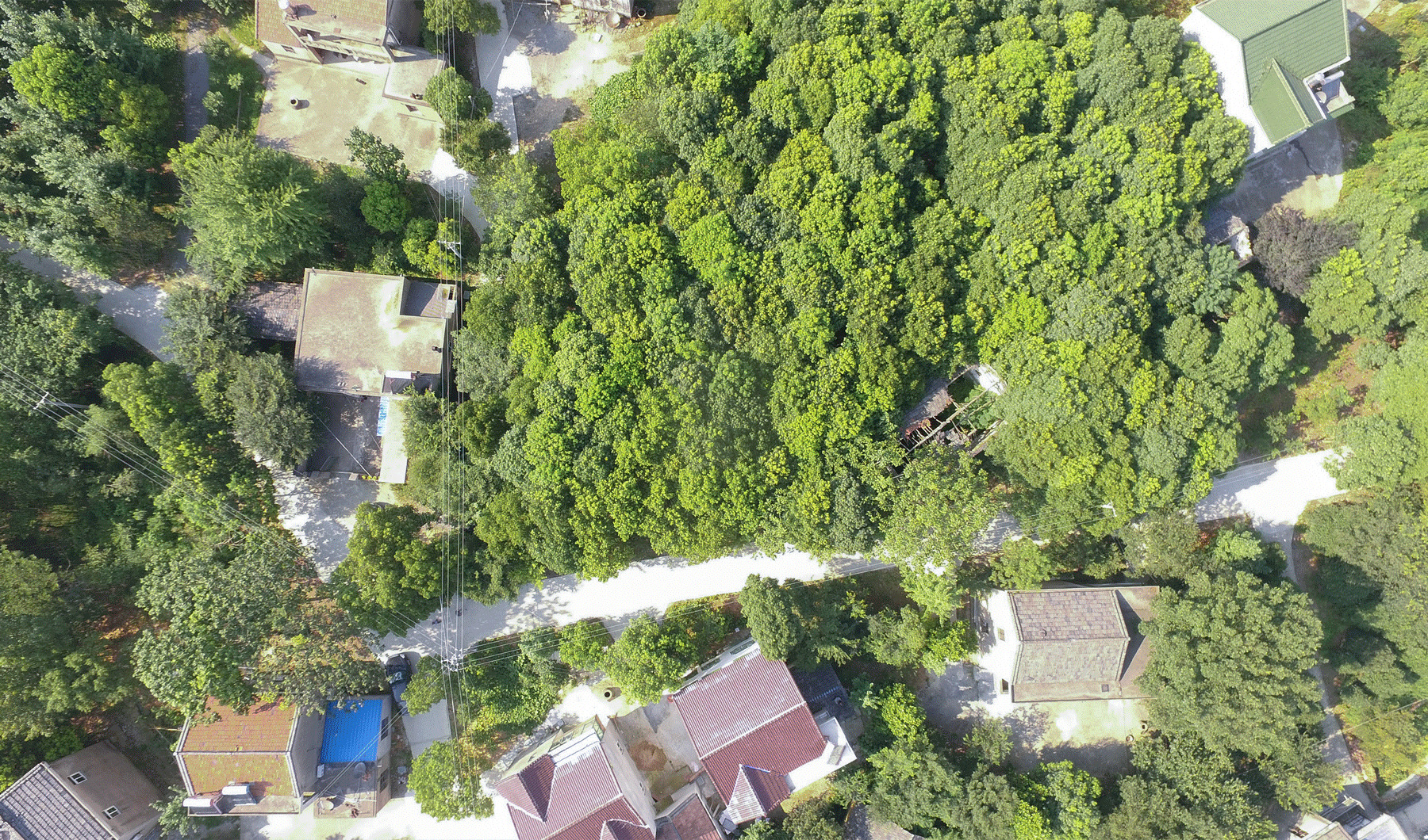 Gallery of Conference Hall in Niumatang / Atelier RenTian - 8