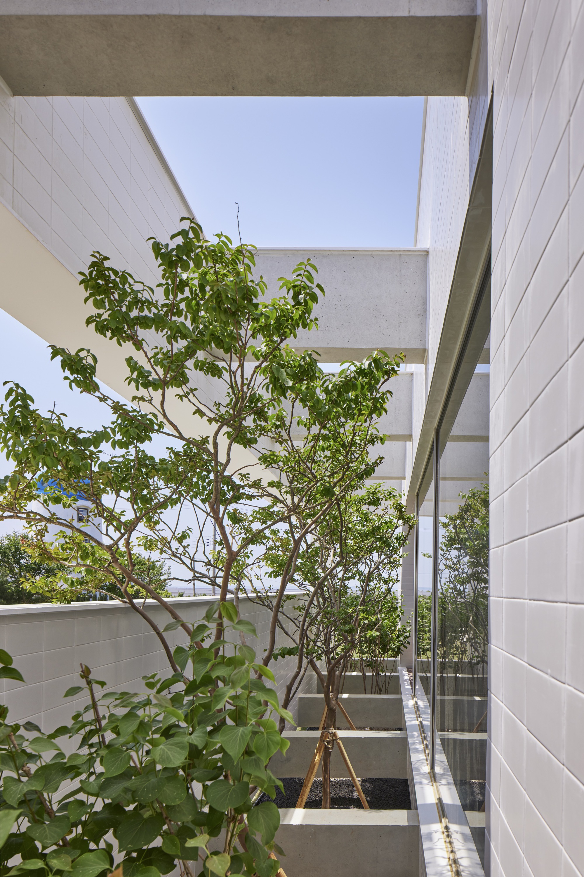 Gallery of Square House / ilsangarchitects - 13