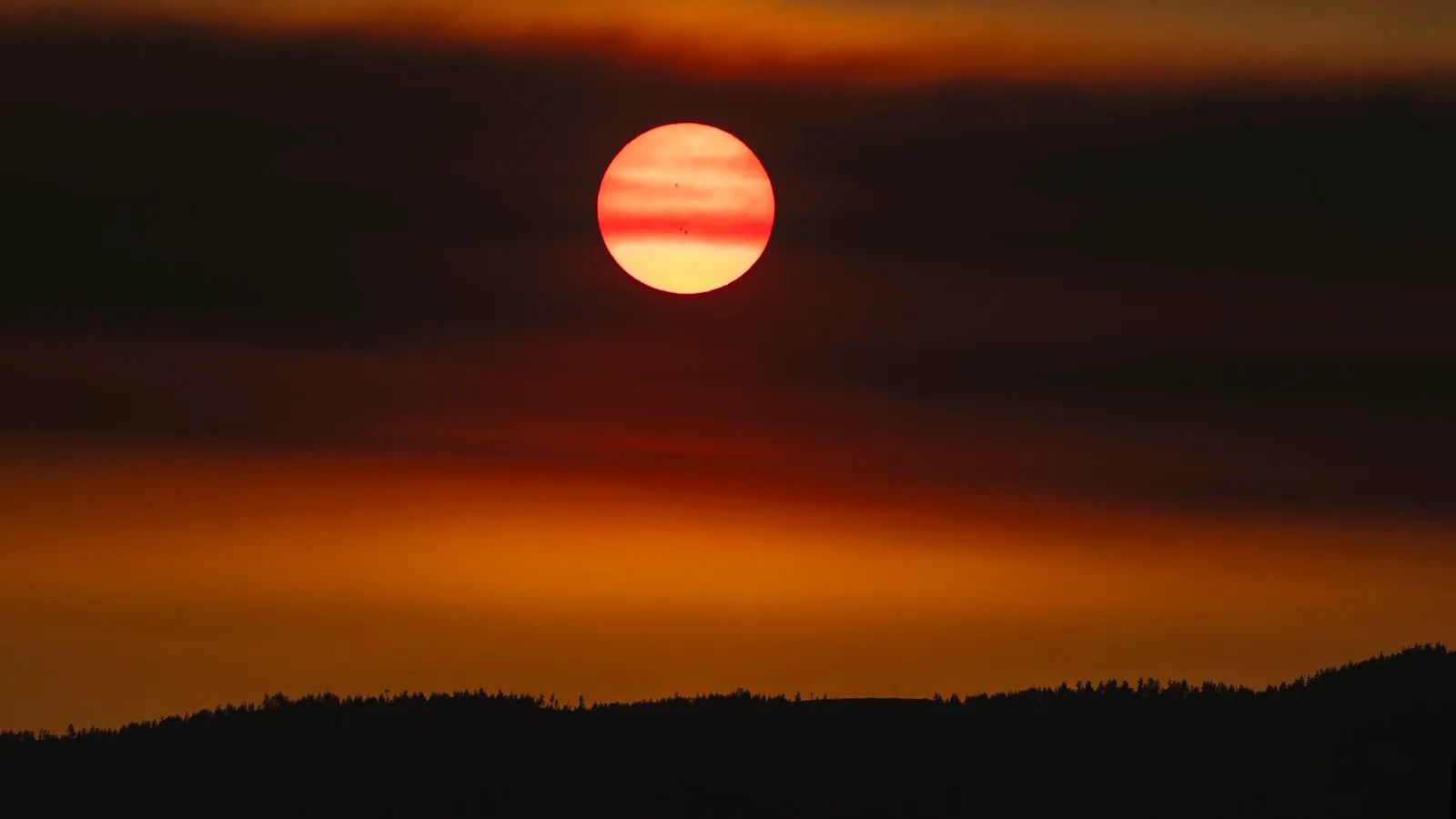 Gallery Of On The Hottest Month On Record And How Cities Are Mitigating The Effects Of Rising