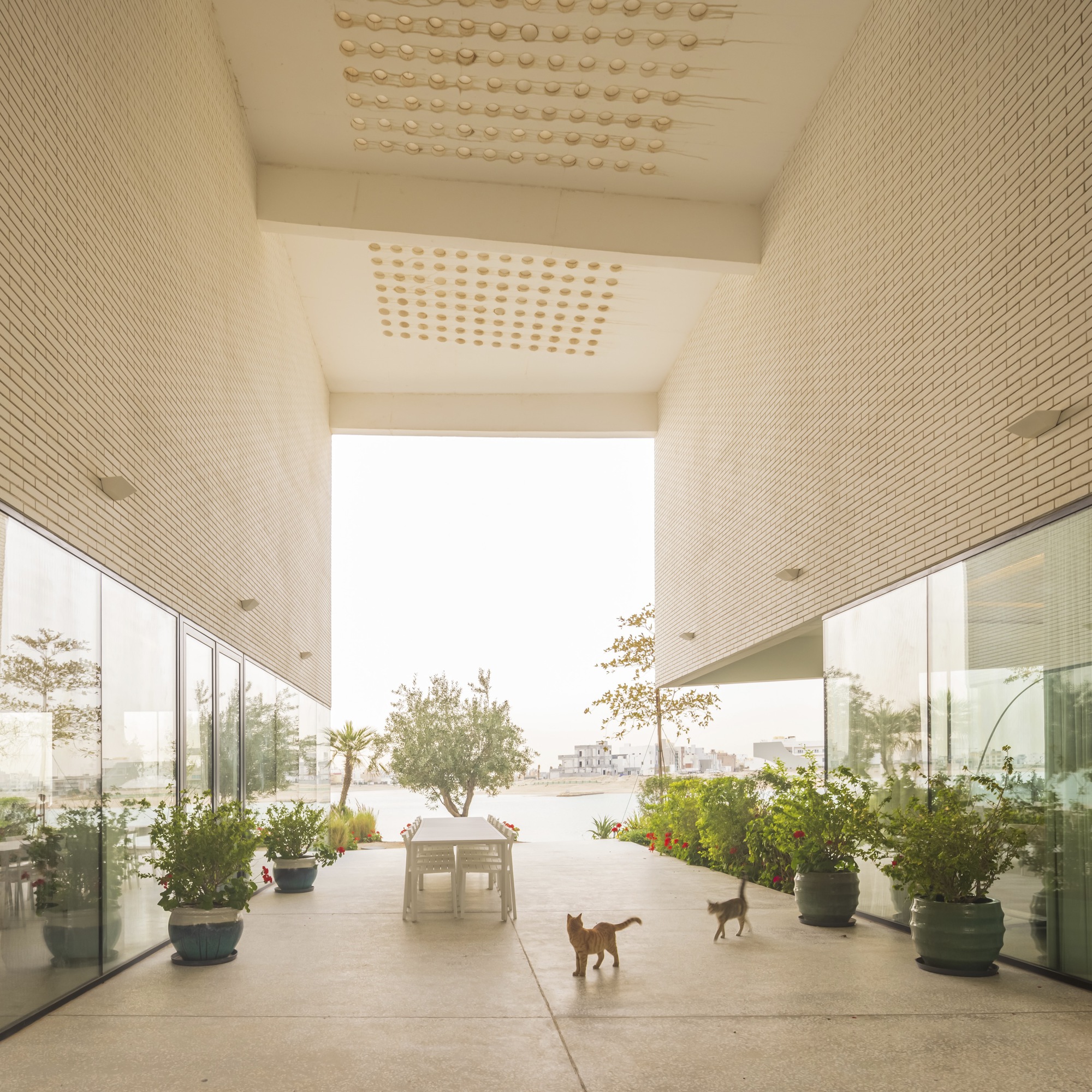 Gallery of Tent House / TAEP/AAP - 14