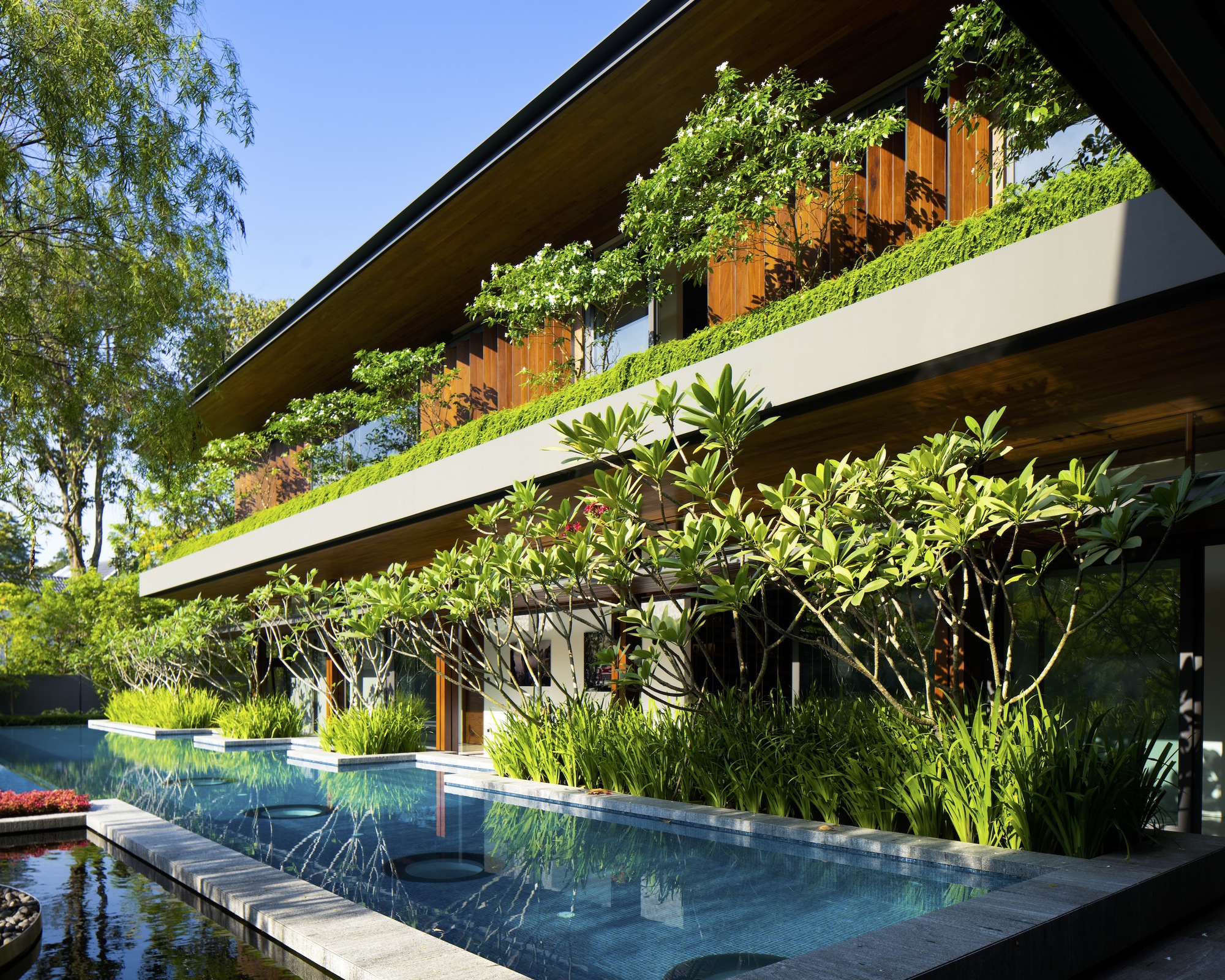 Gallery of Serendipity House / Wallflower Architecture + Design - 5