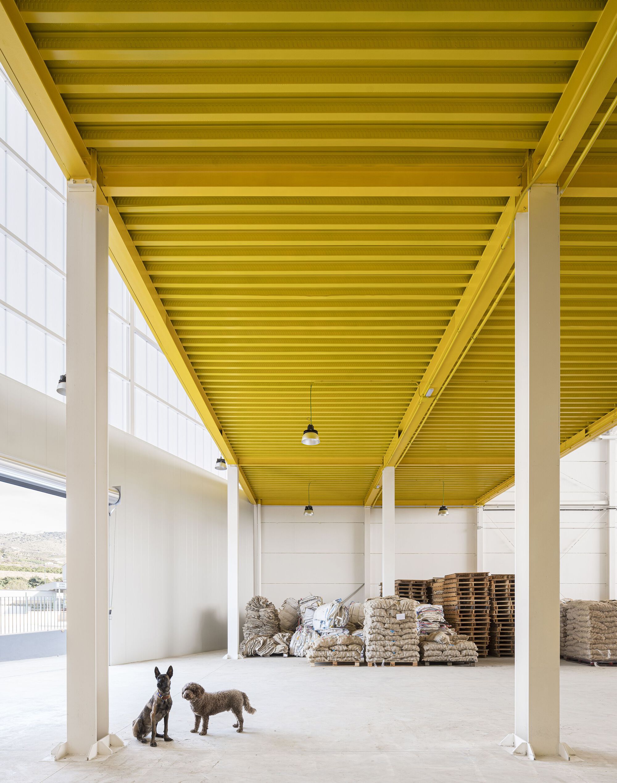 Galeria de Hortifruti Raspa y Amagado / FORarquitectura - 11