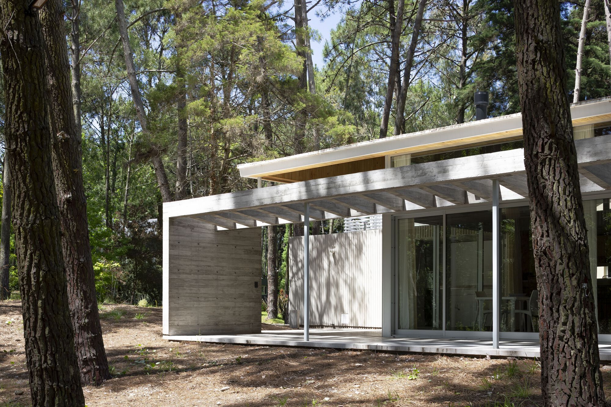 Gallery of Pingüino House / Estudio Galera - 12